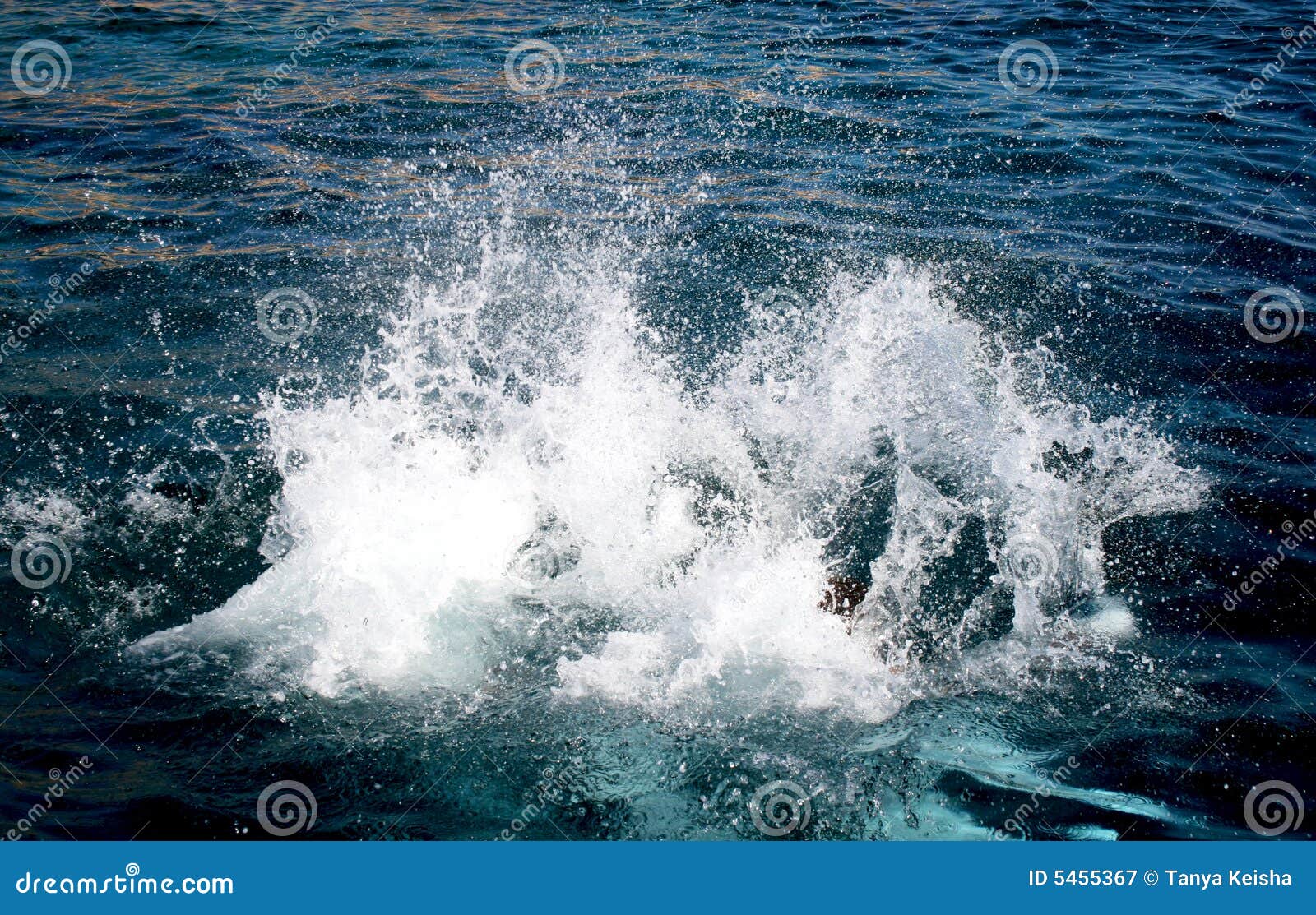 Water splash stock image. Image of diving, fresh, ocean - 5455367