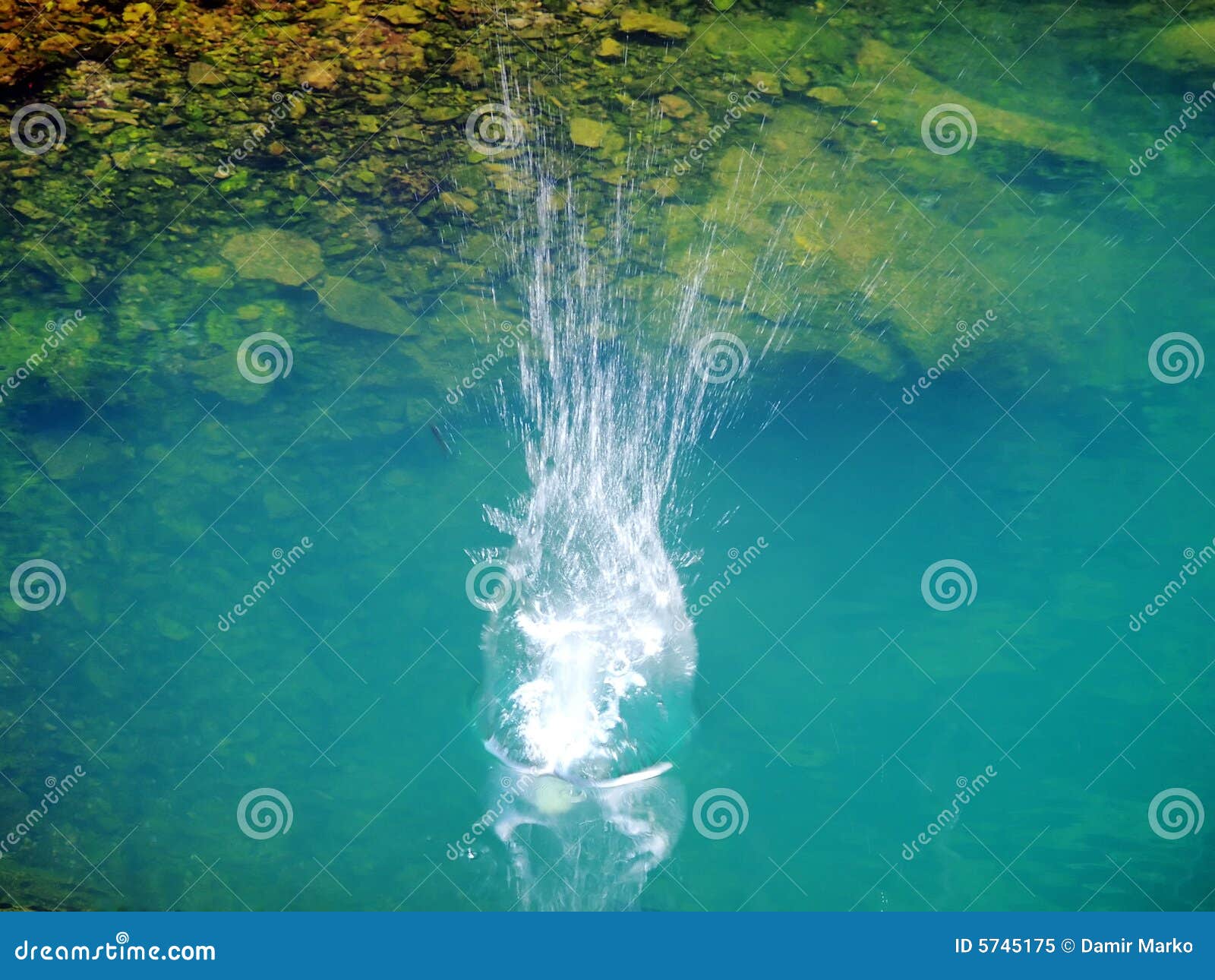 Water splash stock image. Image of clean, water, river - 5745175
