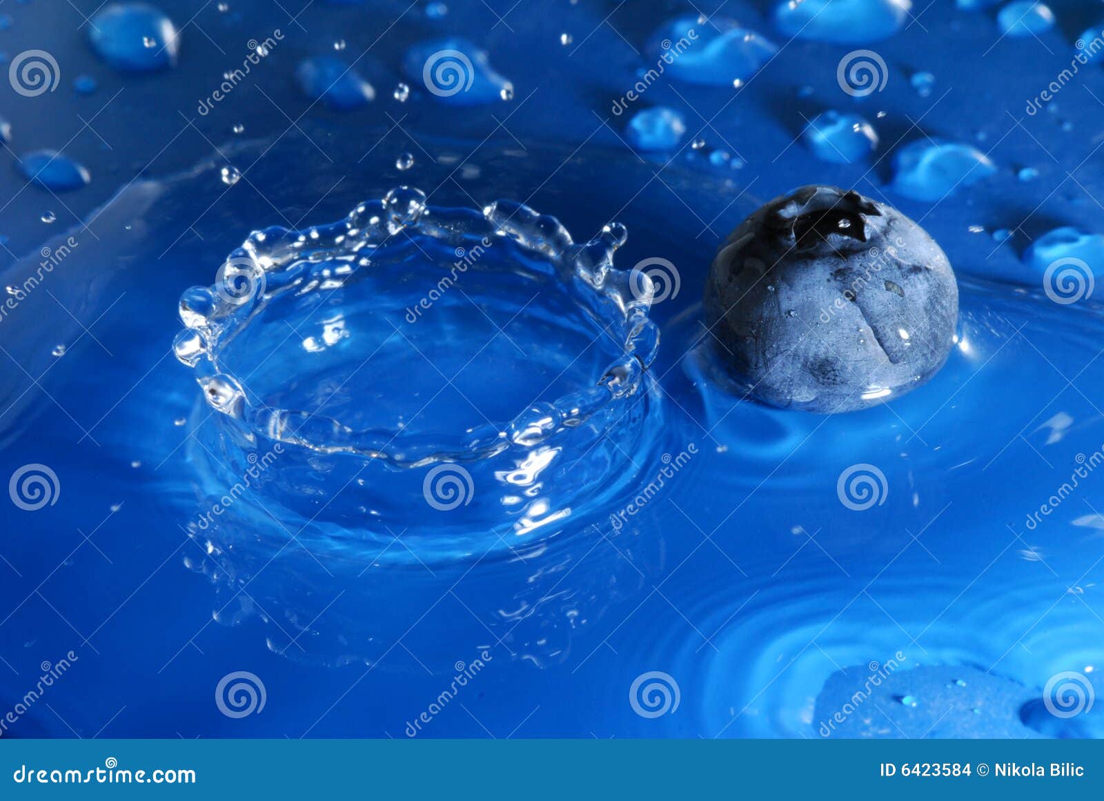 Water splash stock photo. Image of action, momentum, background - 6423584