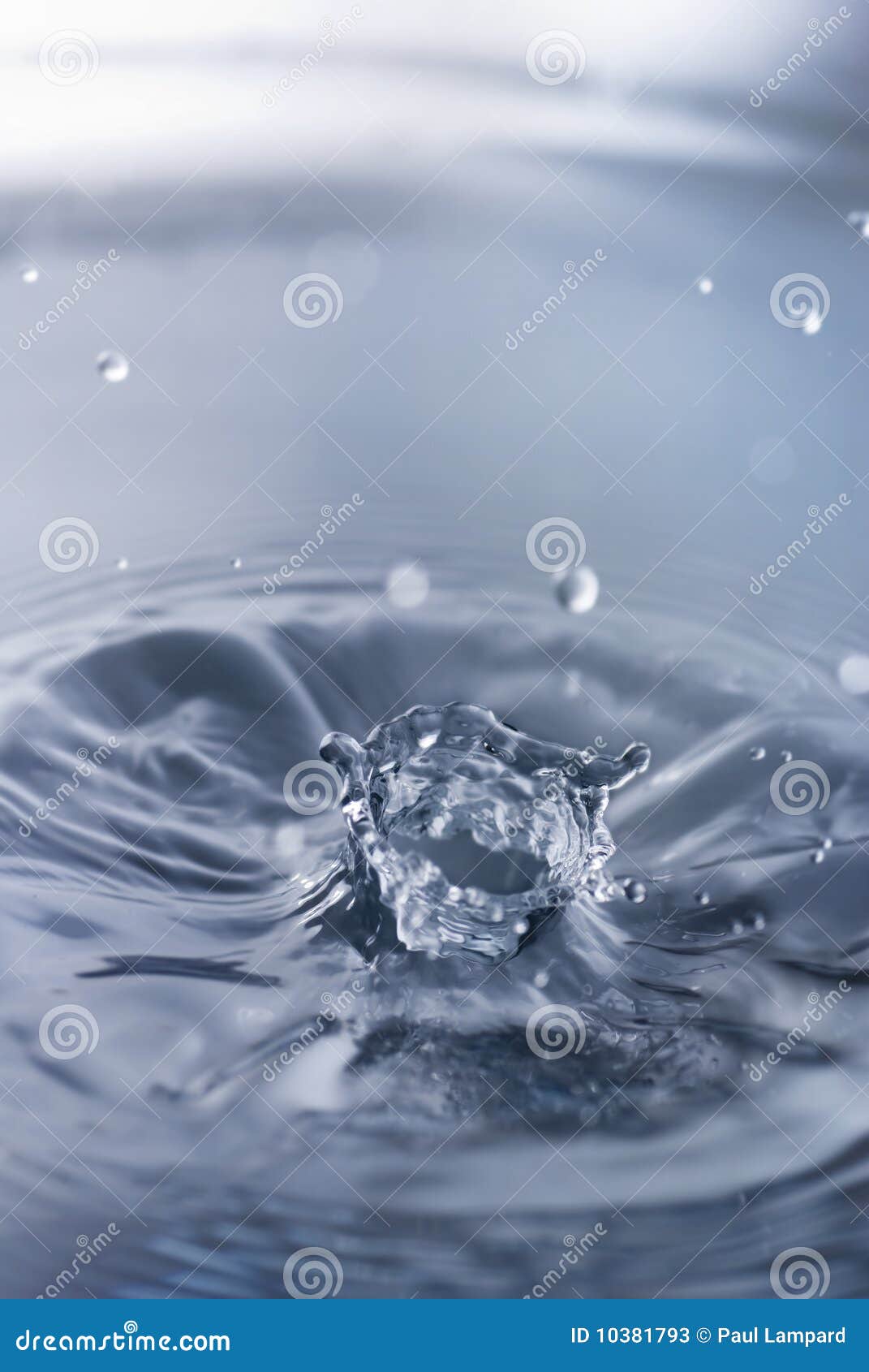 Water Splash Angular Crown Stock Photos - Free & Royalty-Free Stock ...