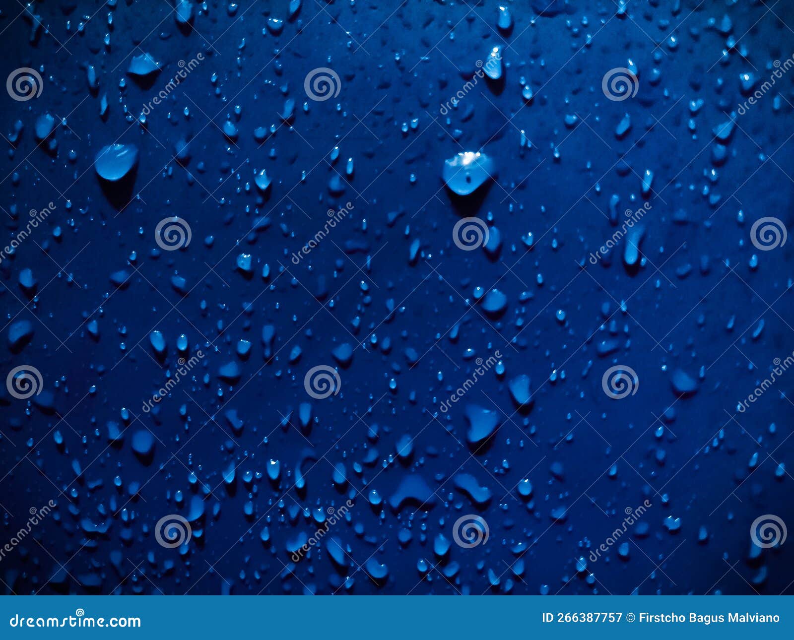Water Splash on Blue Bucket Wall Stock Image - Image of petal, blue ...