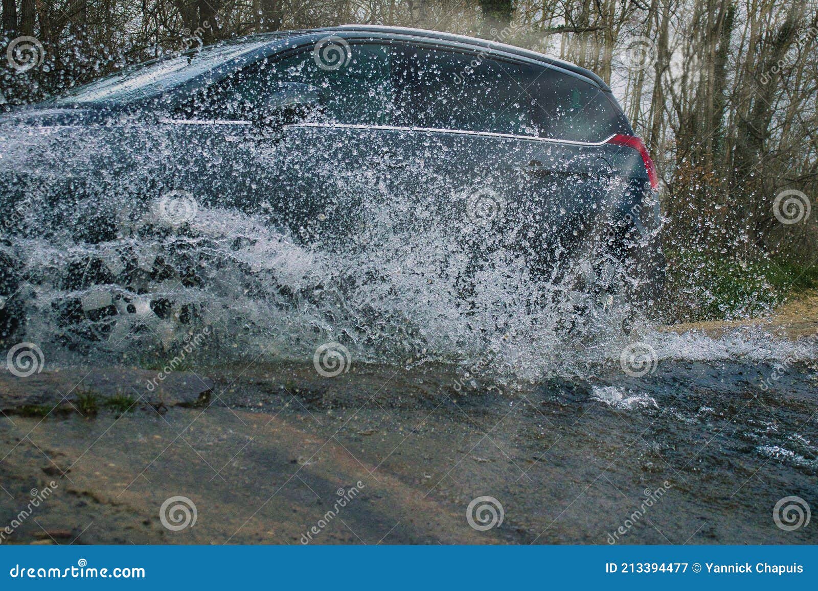 Water splash from a car stock image. Image of trees - 213394477