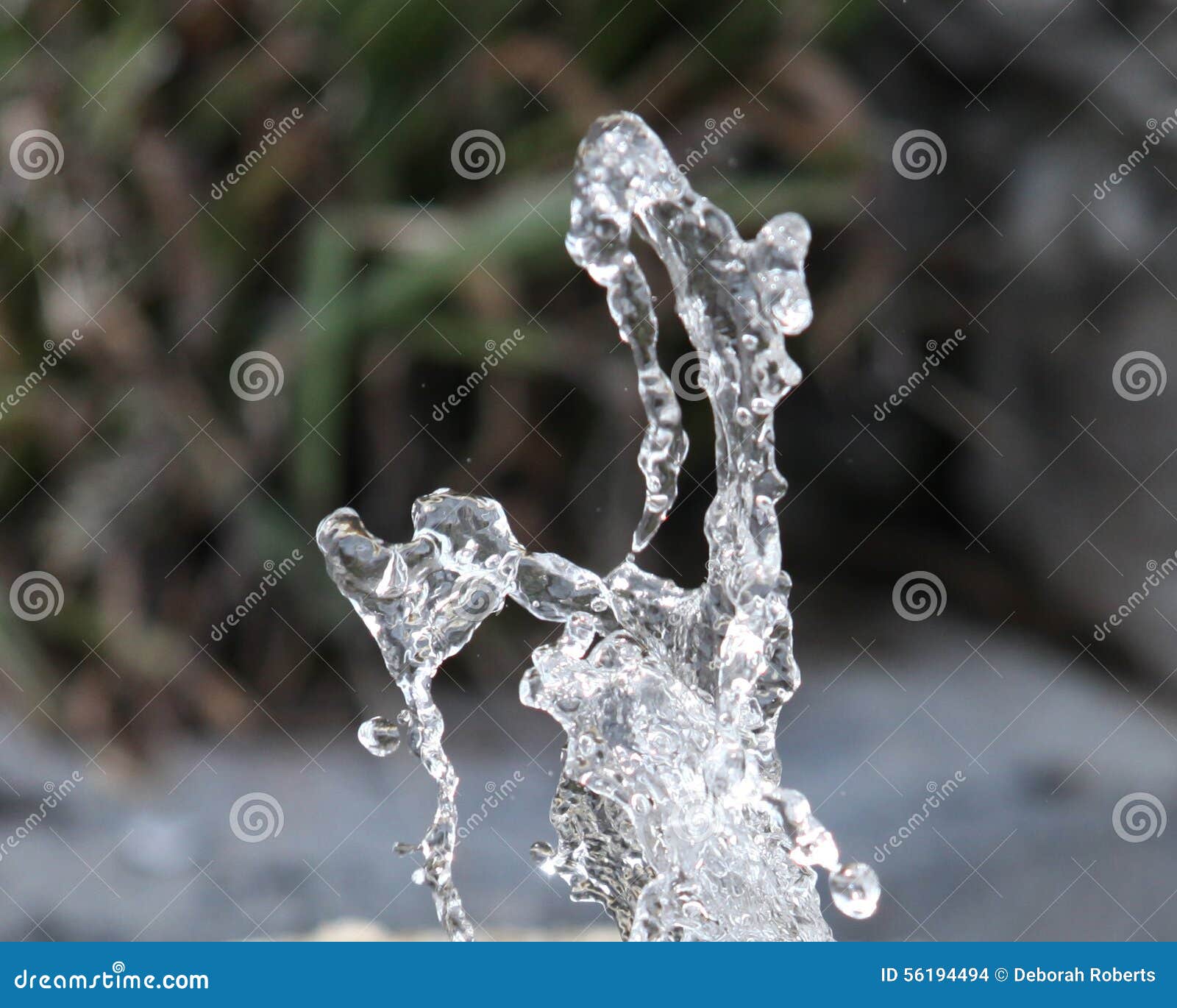 Water splash stock photo. Image of clear, splash, summer - 56194494