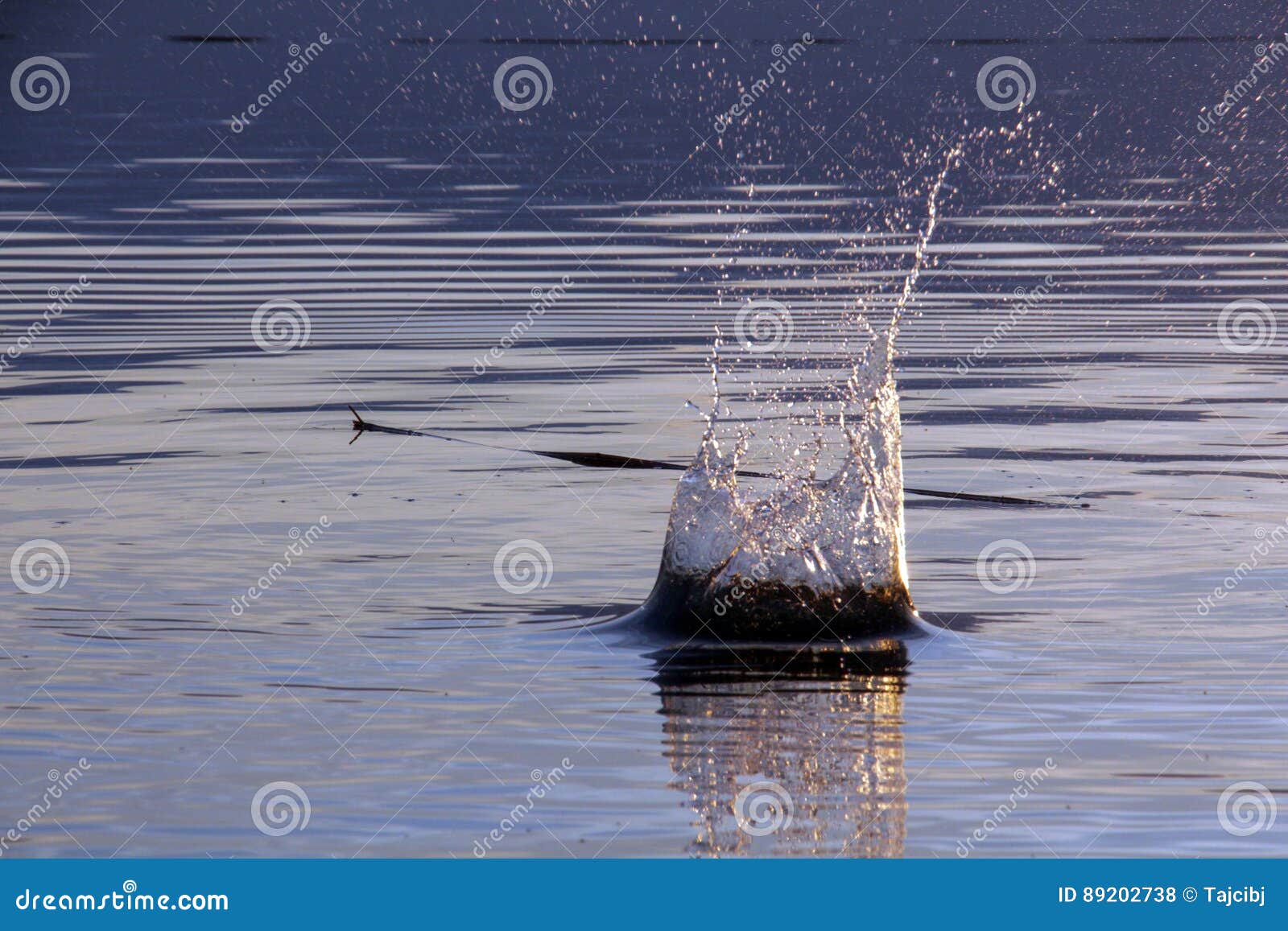 Water Splash Drop, Ripple on the Surface Stock Photo - Image of rain ...