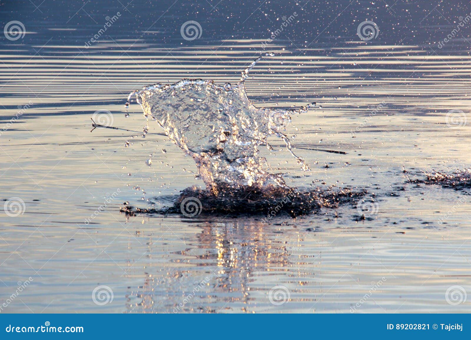 Water Splash Drop, Ripple on the Surface Stock Image - Image of ...