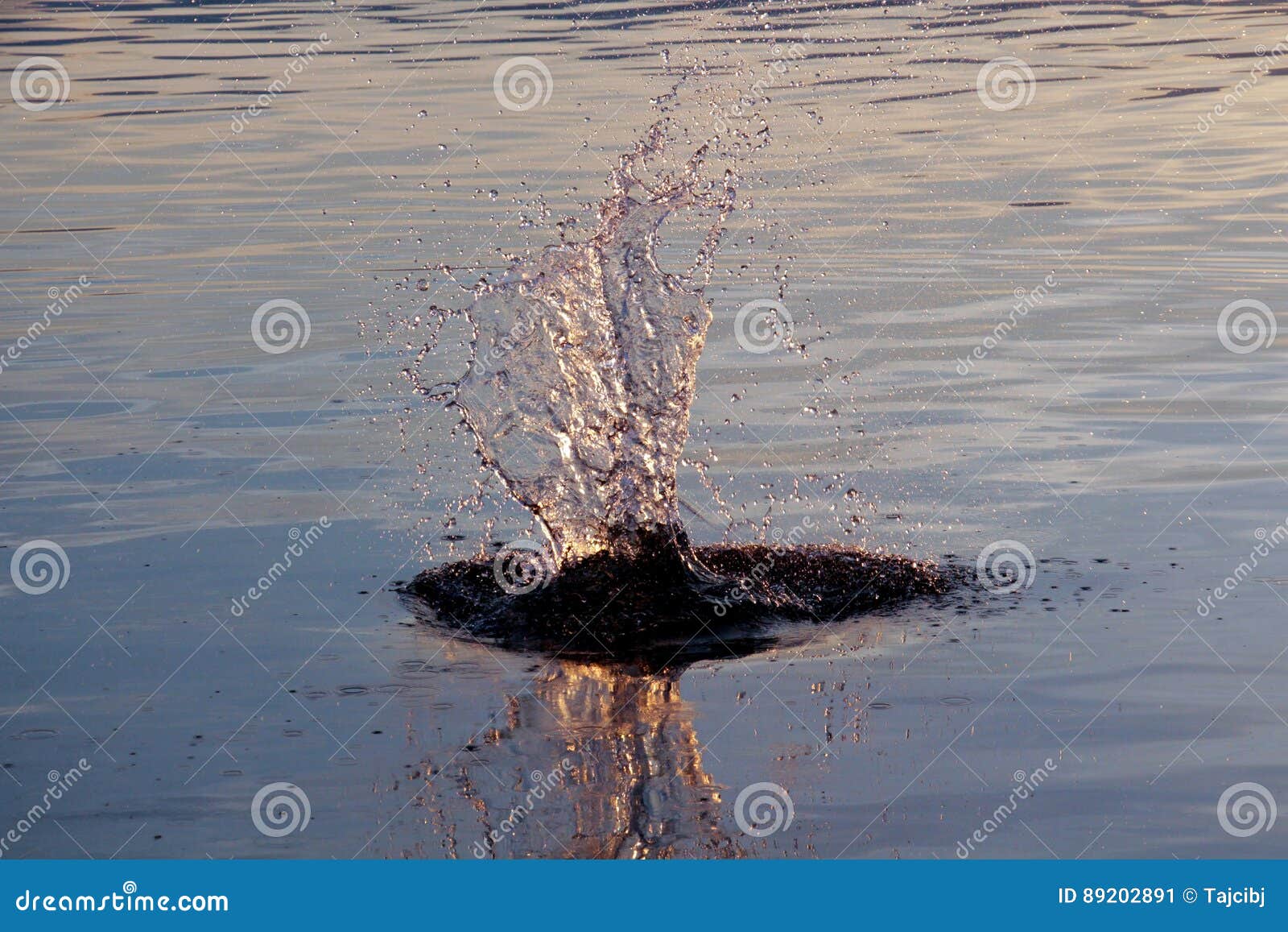 Water Splash Drop, Ripple on the Surface Stock Image - Image of closeup ...