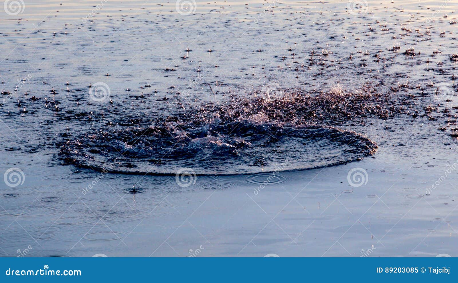 Water Splash Drop, Ripple on the Surface Stock Image - Image of nature ...