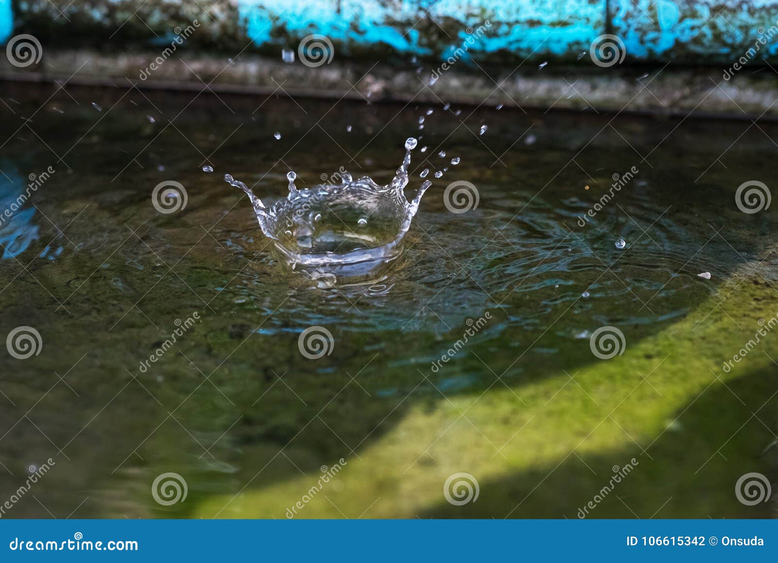 Water splash stock photo. Image of water, clear, life - 106615342