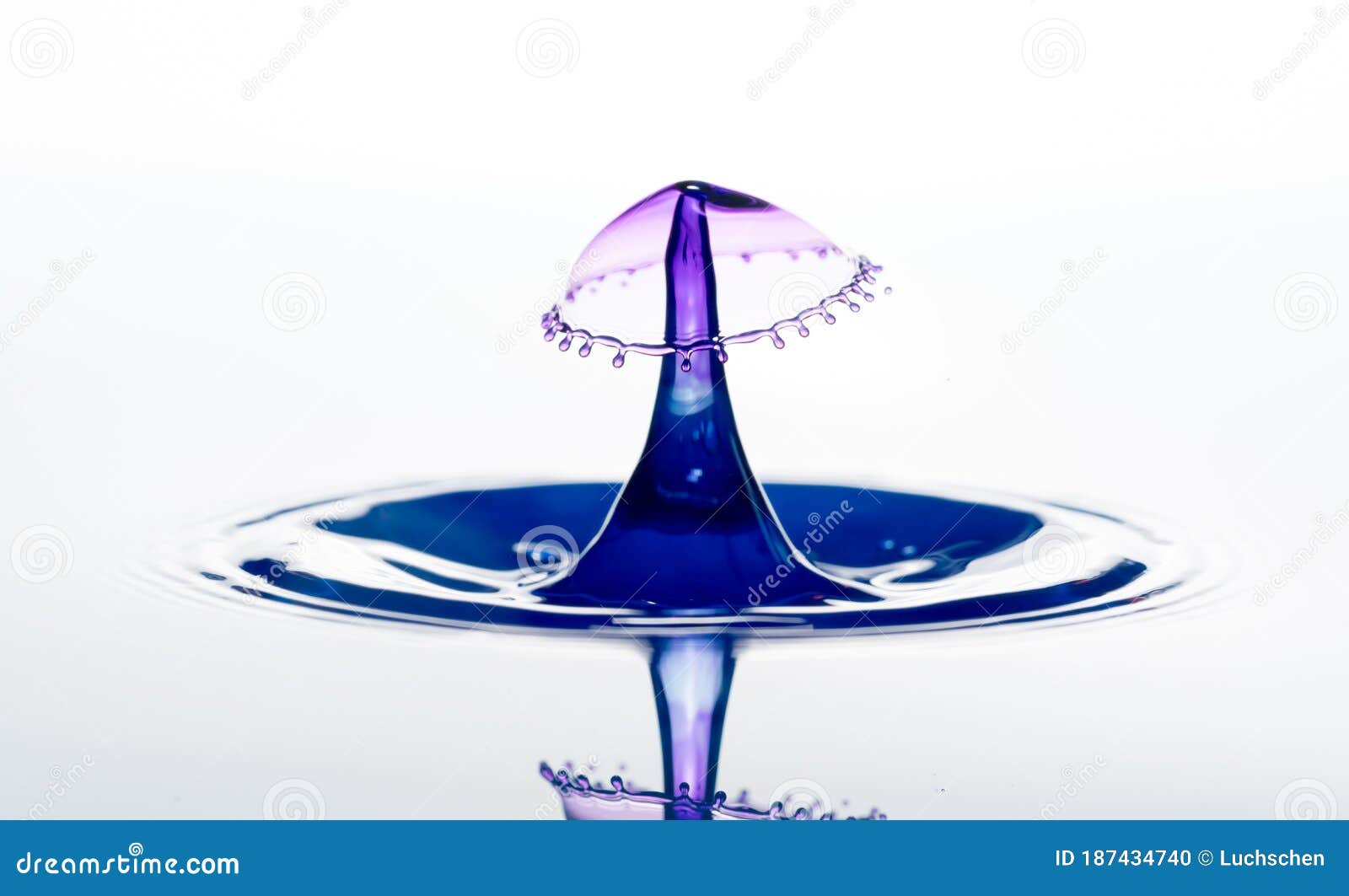 Water Splash. Drops Collision Stock Photo - Image of background, liquid ...