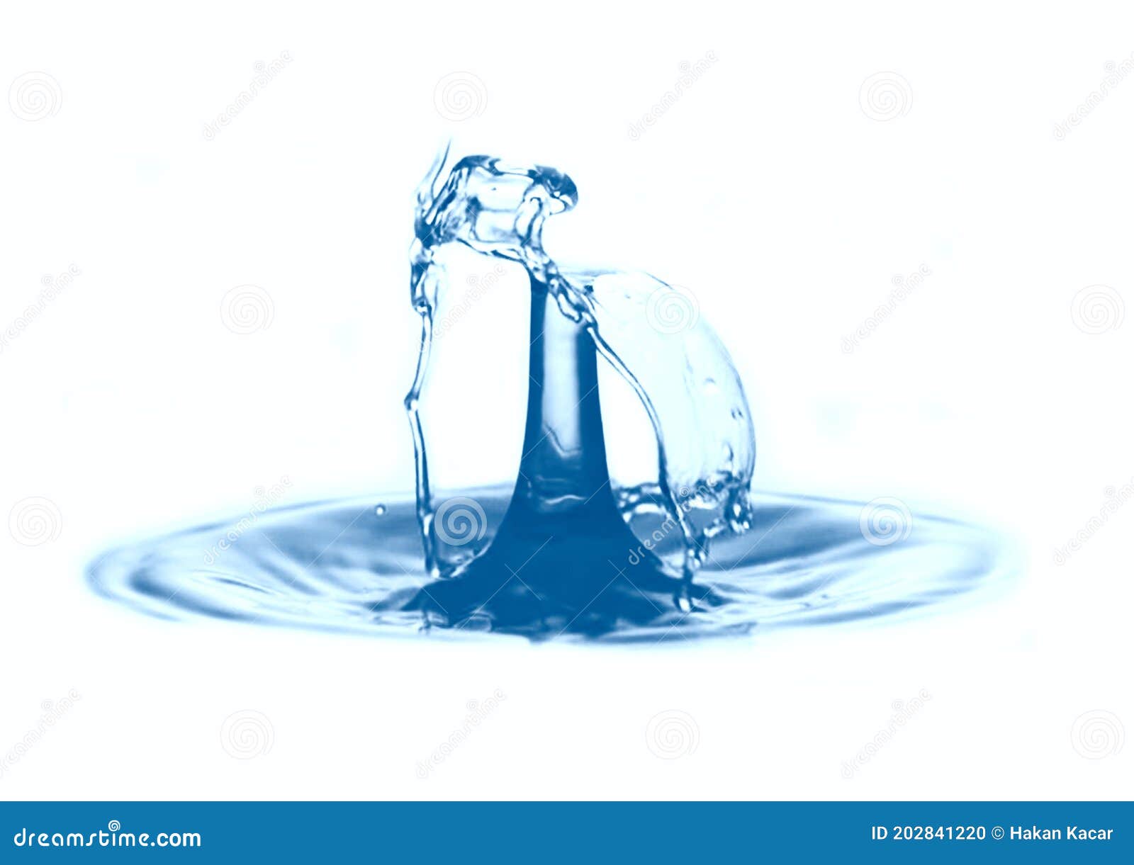 Water Splash Effect on White Background with Ripple and Reflection ...