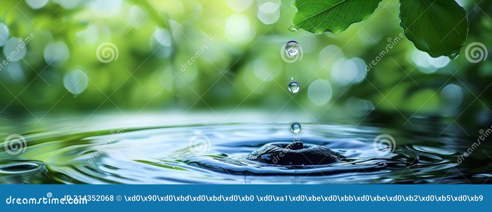 Water Splash. Falling Drop of Rain Stock Photo - Image of drip, fluid ...