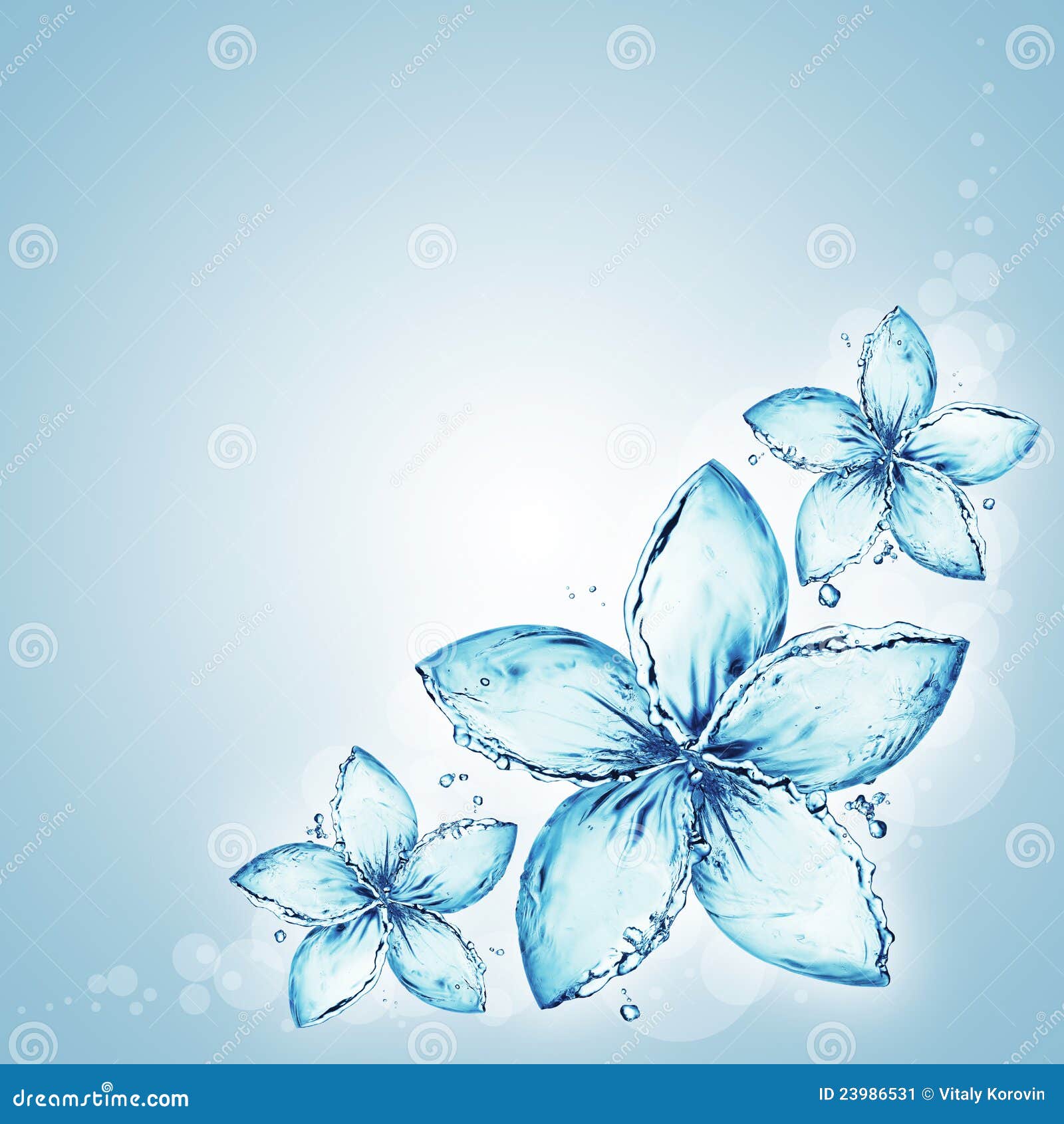 Water splash,flowers stock illustration. Illustration of flower - 23986531