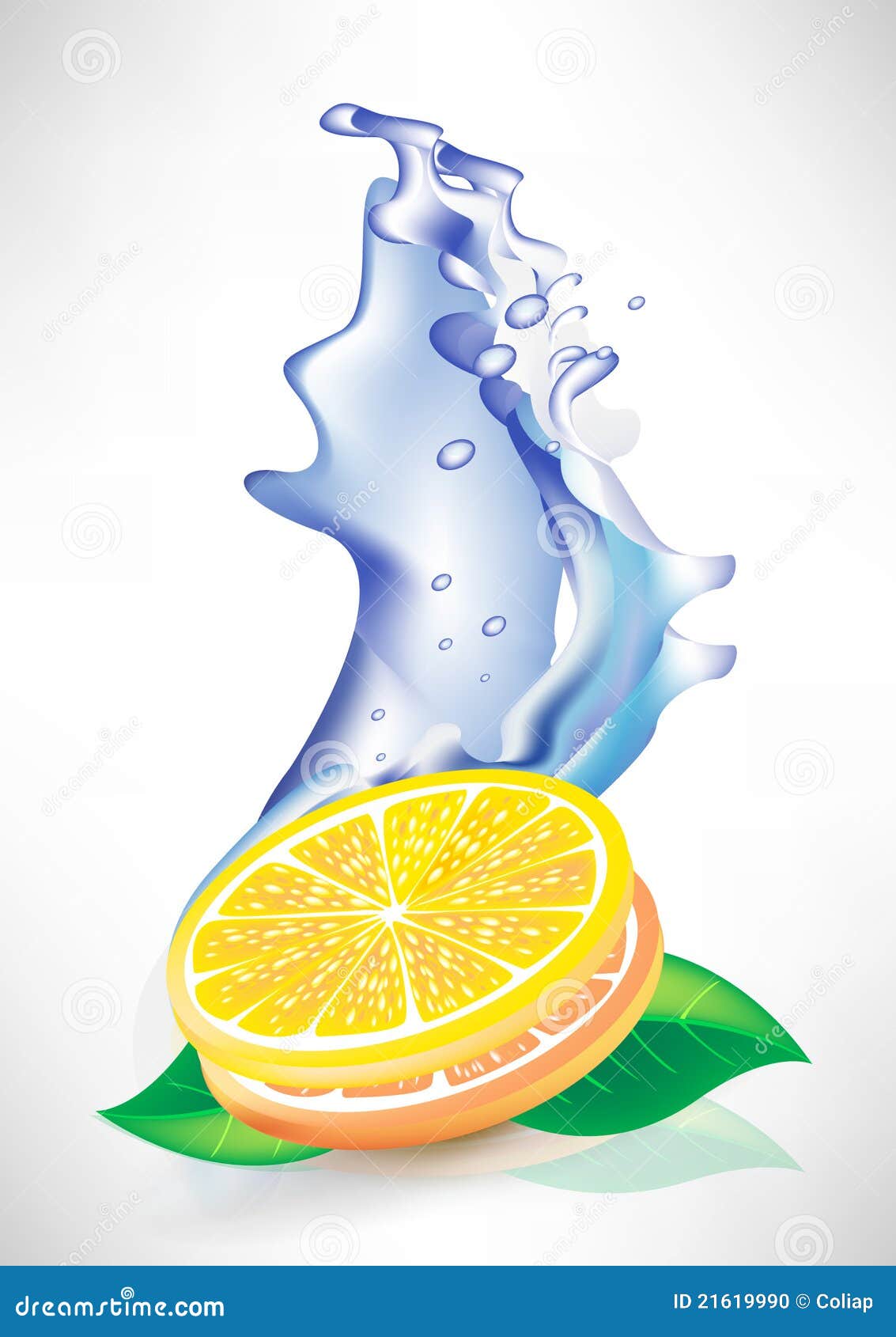 Water Splash and Fresh Lemon Slices Stock Vector - Illustration of ...