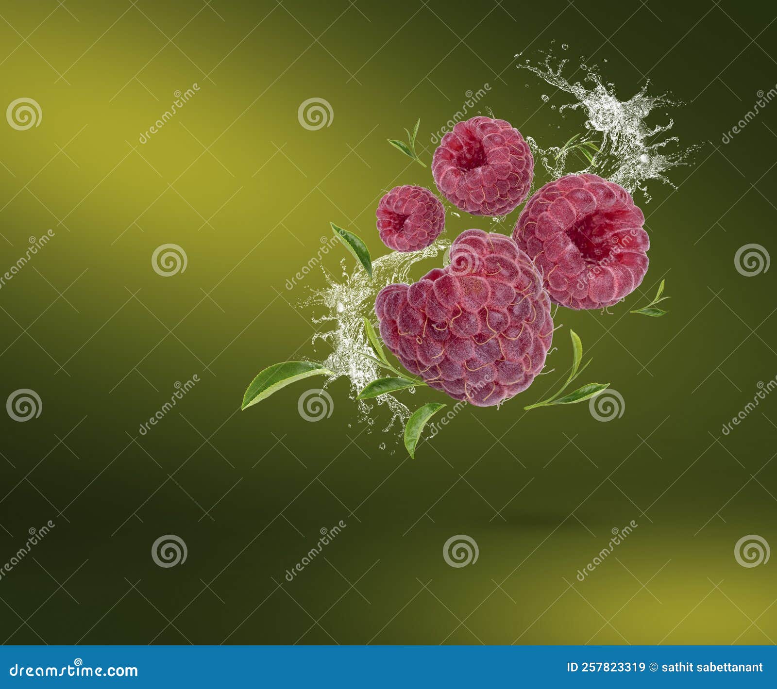 Water Splash on Fresh Raspberry and Tea Leaves Isolated on Green ...