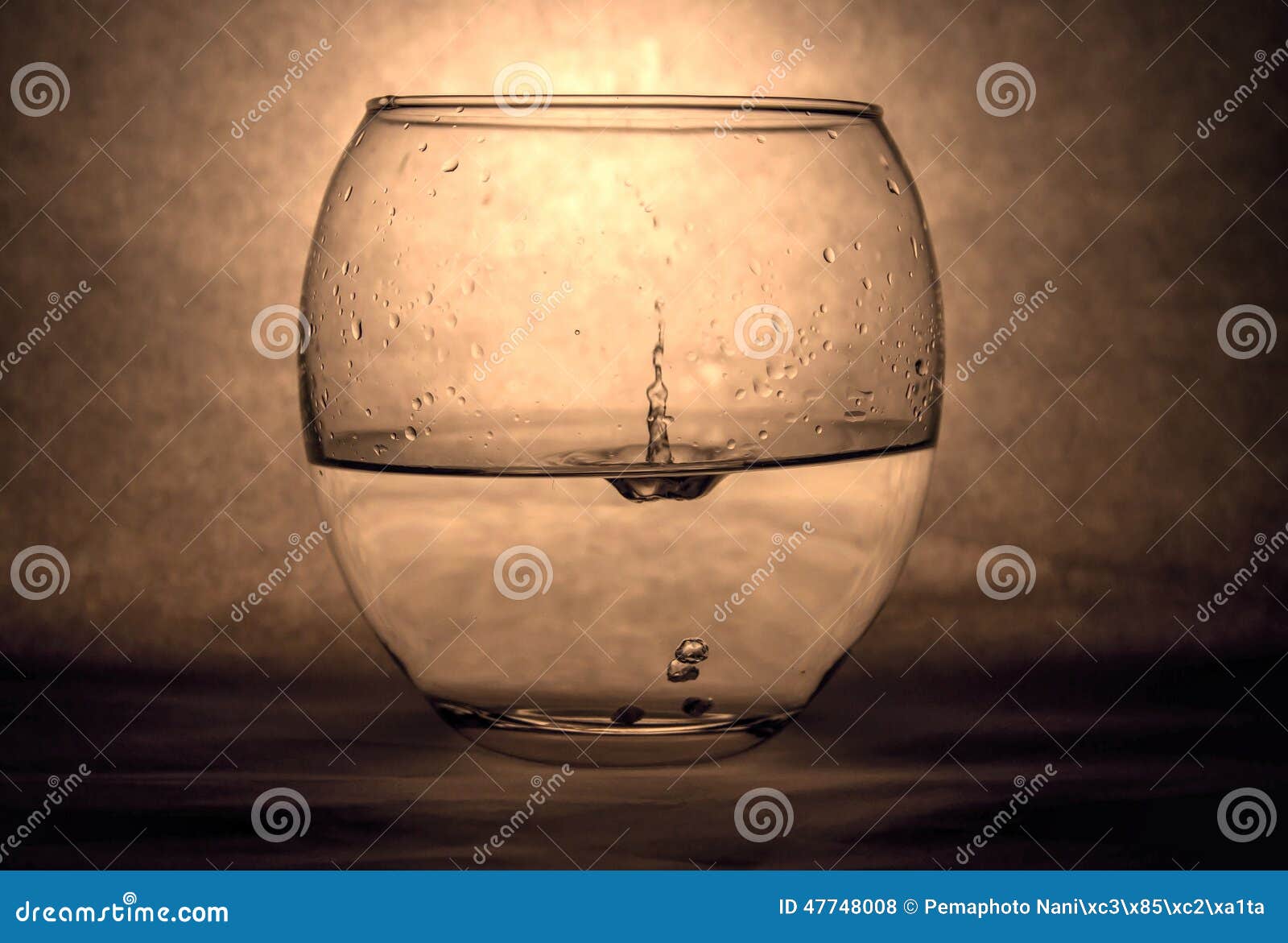 Water Splash in Glass Pot stock photo. Image of pigeon - 47748008