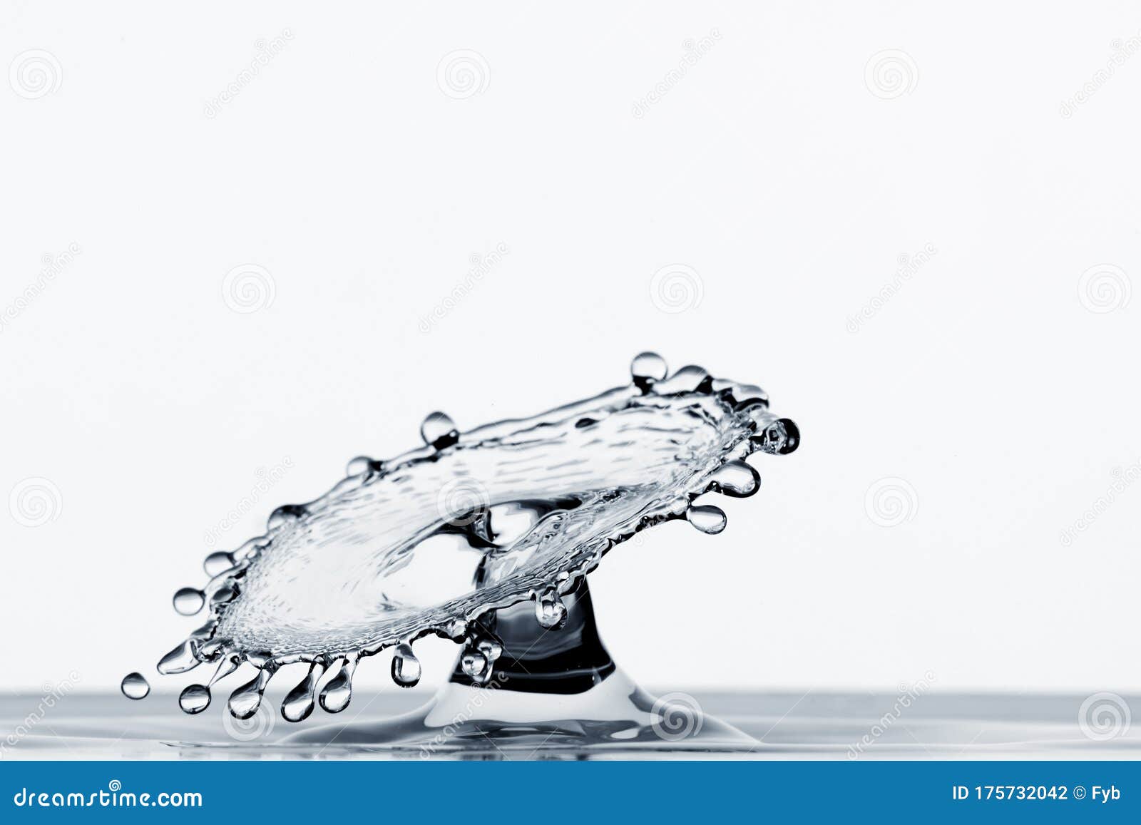 Water Splash Isolated on White Background Stock Photo - Image of fresh ...