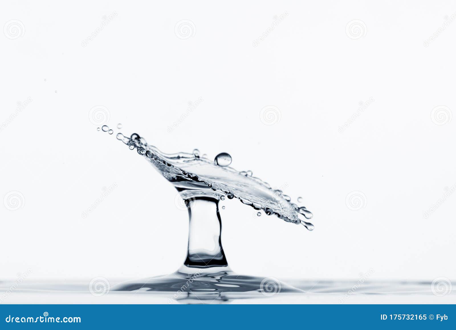 Water Splash Isolated on White Background Stock Image - Image of ...