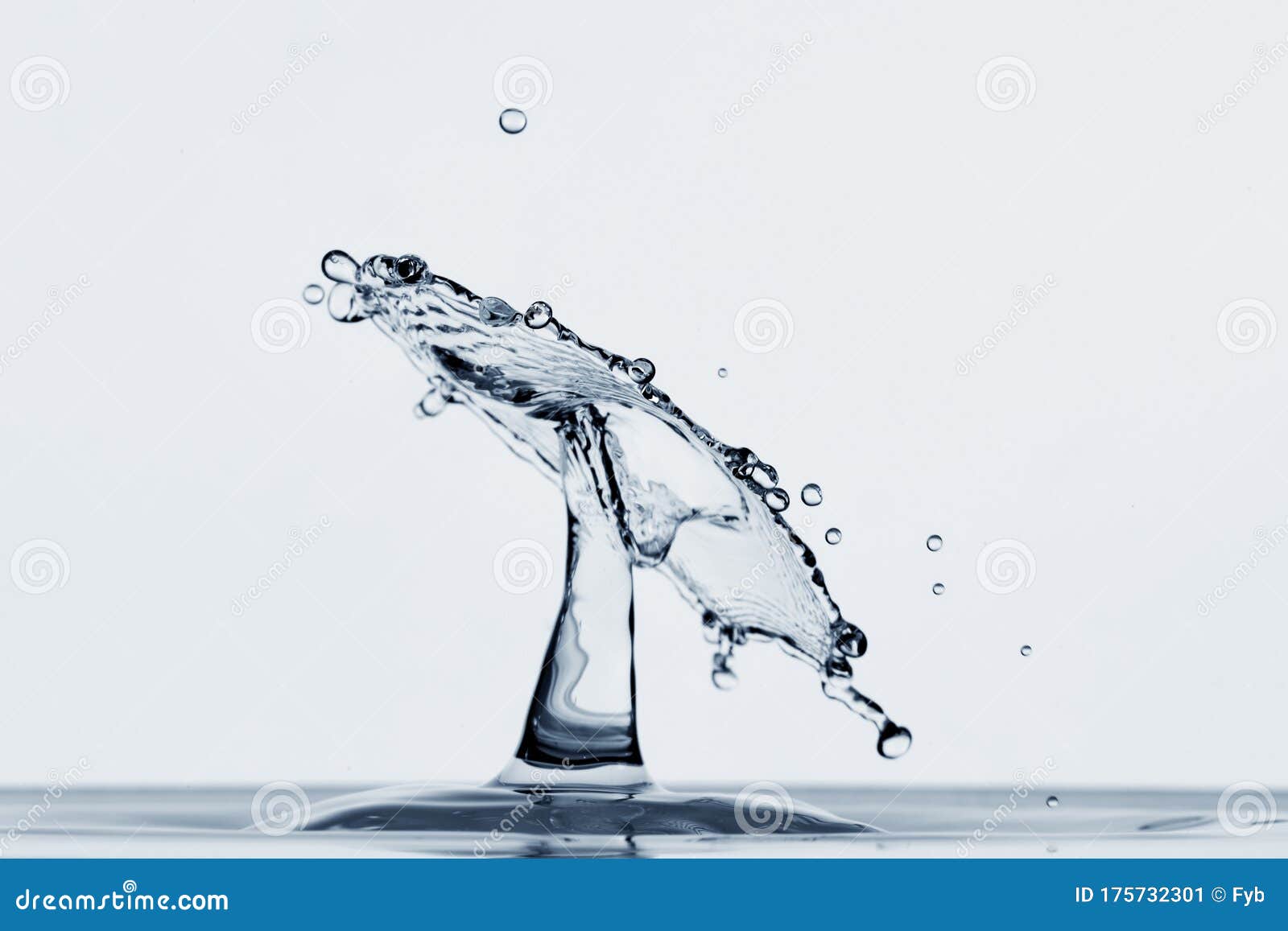 Water Splash Isolated on White Background Stock Image - Image of ripple ...