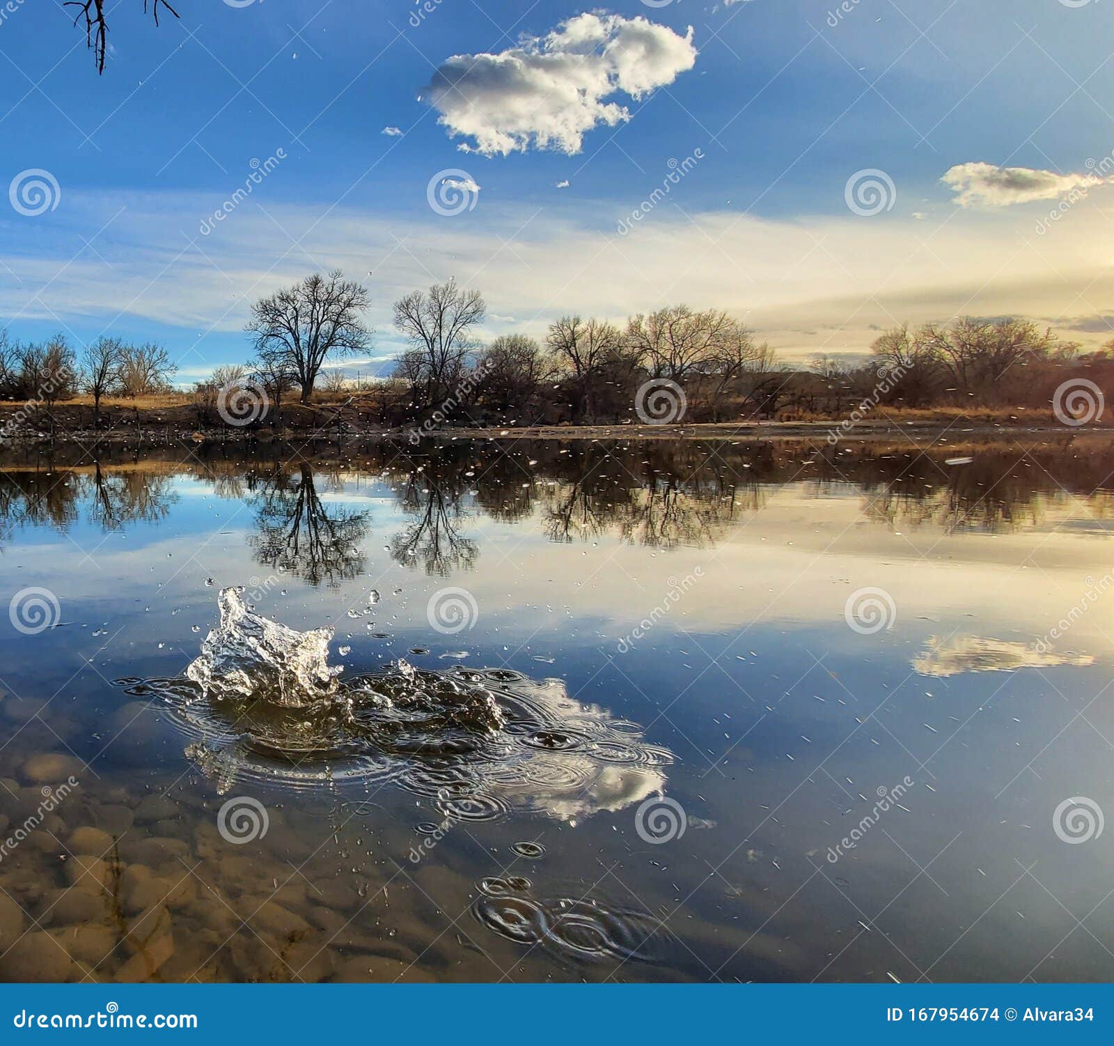 Water splash on the lake stock photo. Image of water - 167954674