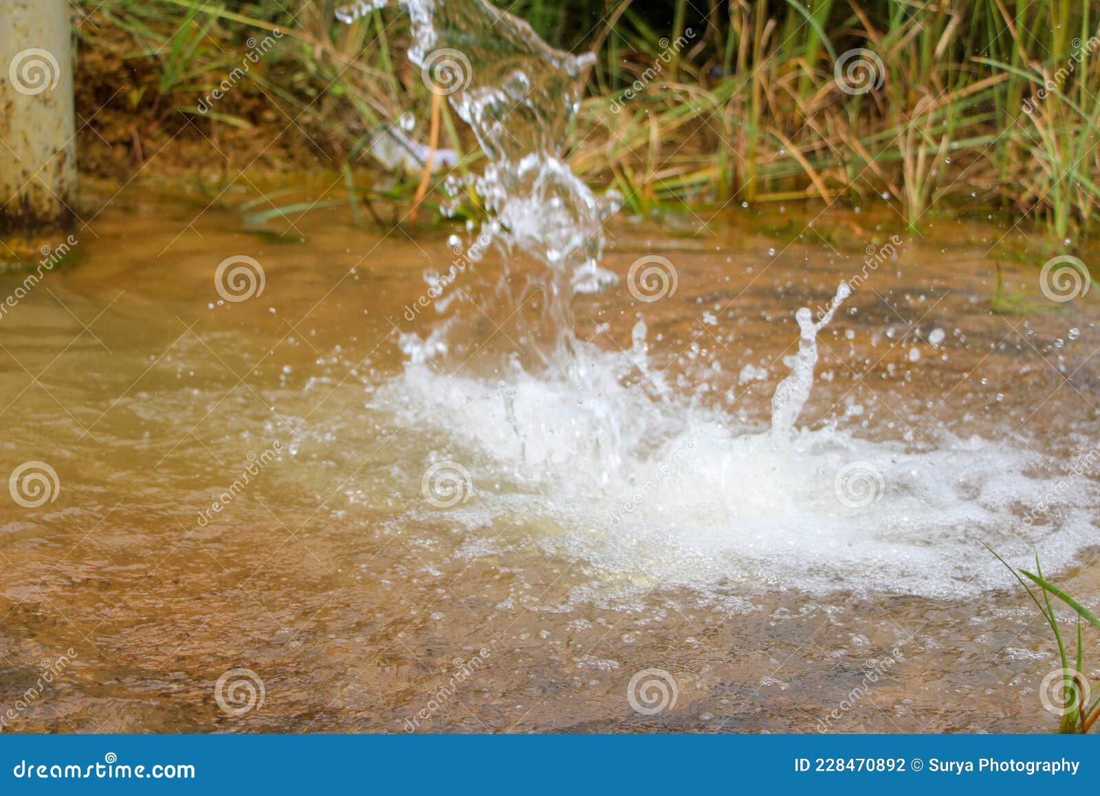 Water splash in lake stock photo. Image of pond, lake - 228470892