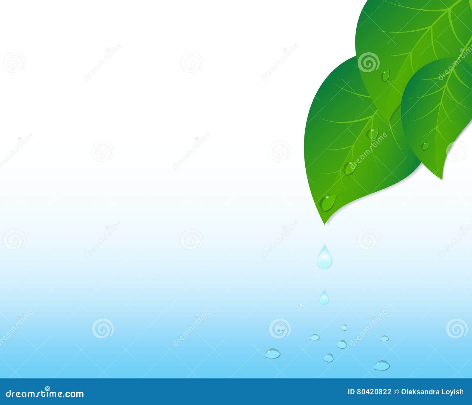 Water splash and leaves stock vector. Illustration of summer - 80420822