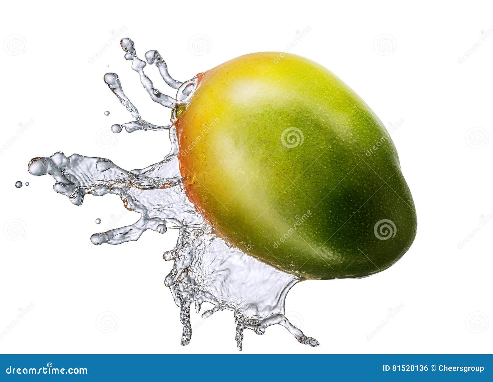 Water Splash with Mango Isolated Stock Photo - Image of flowing, nature ...