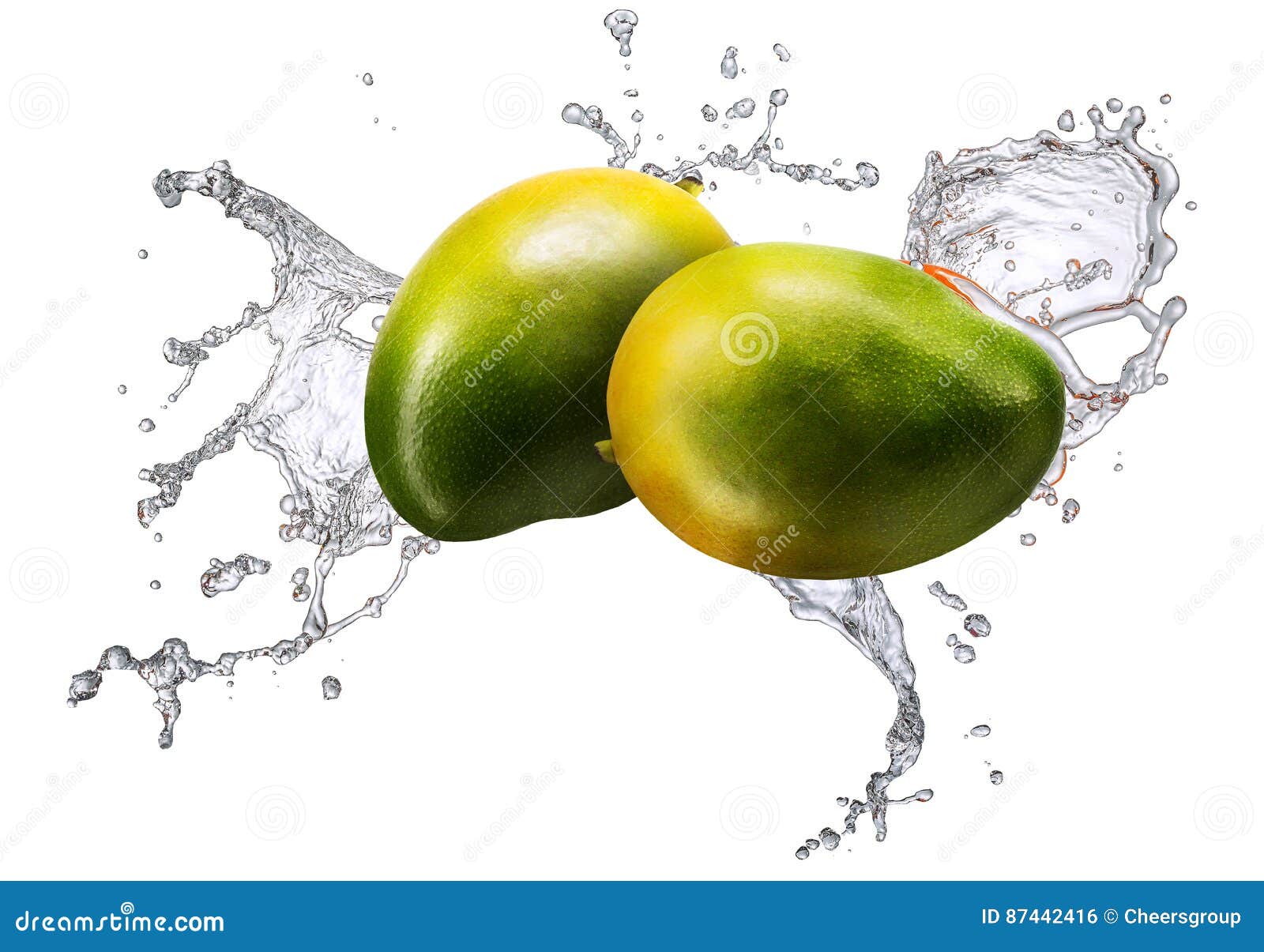 Water Splash with Mango Isolated Stock Photo - Image of green, exotic ...