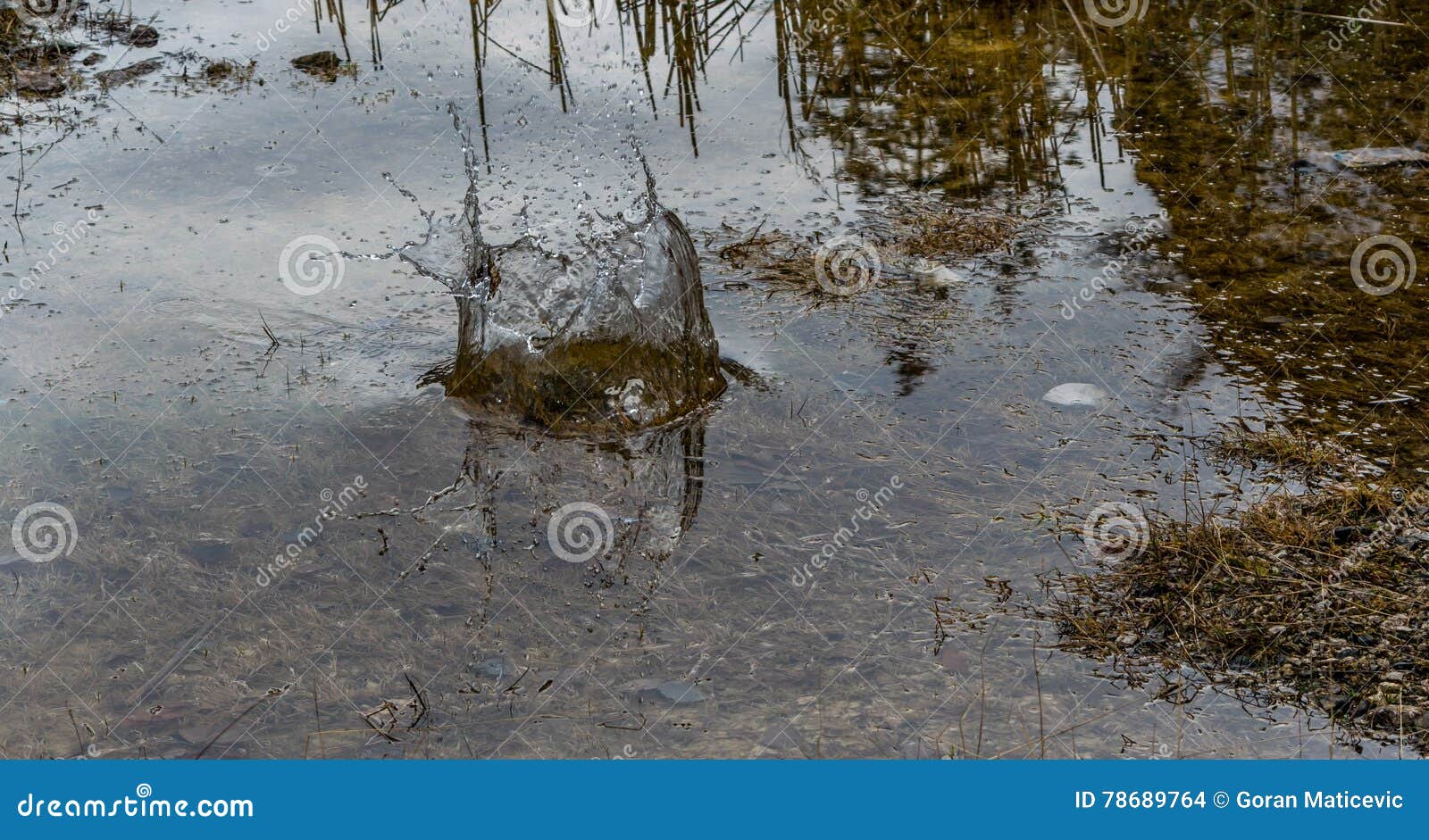 Water Splash in Natural Environment Stock Photo - Image of motion, good ...
