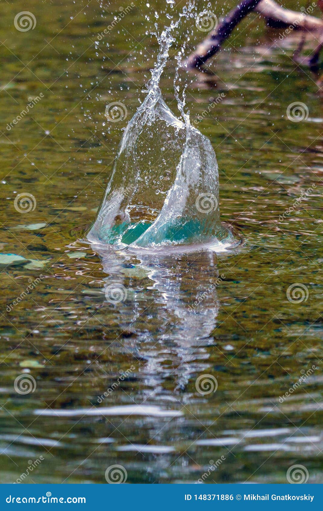 Water Splash in Nature Lake Stock Photo - Image of freshness, healthy ... Water Splash in Nature Lake Stock Photo - Image of freshness, healthy ...