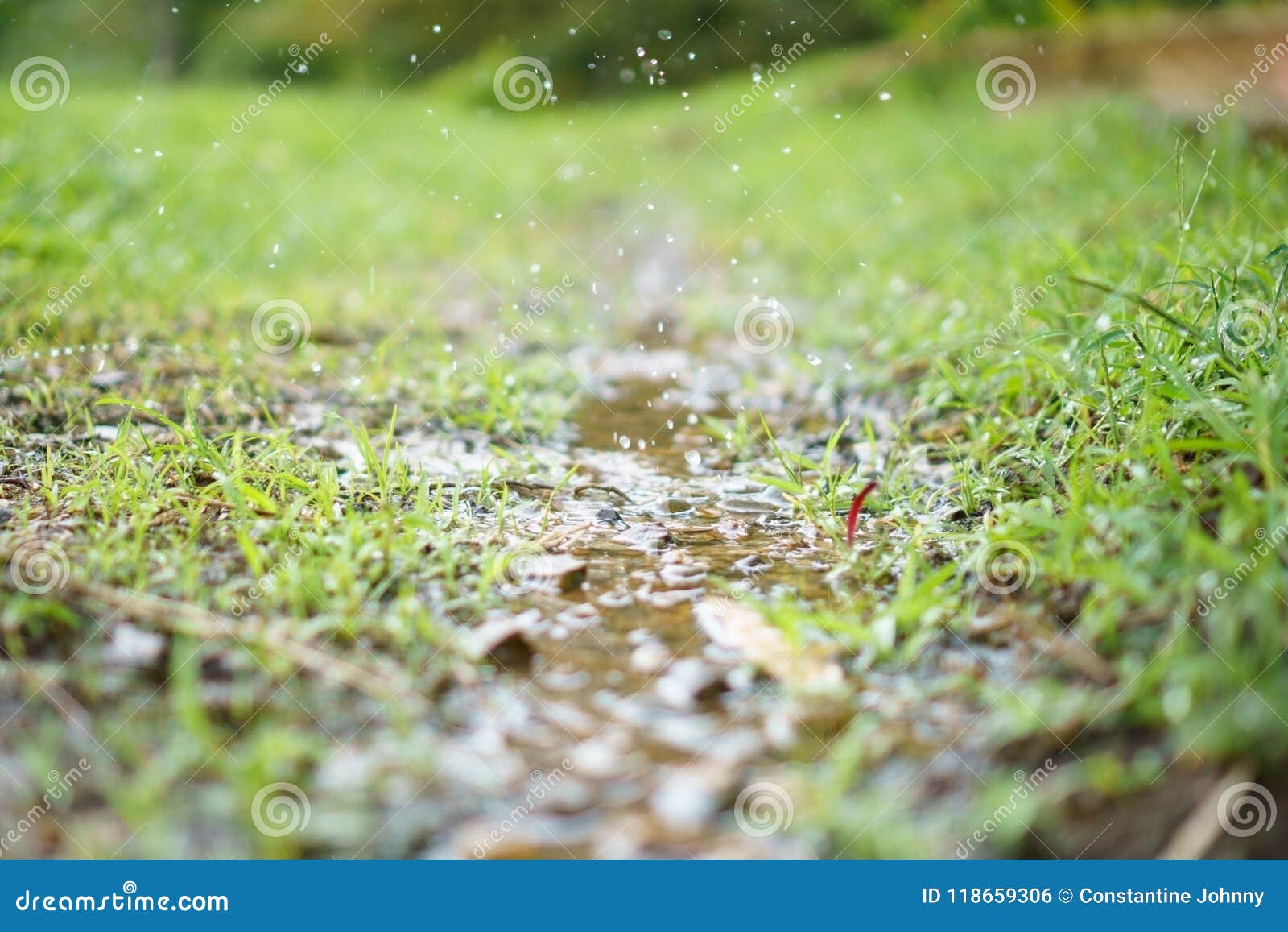 Water splash in nature. stock photo. Image of pattern - 118659306