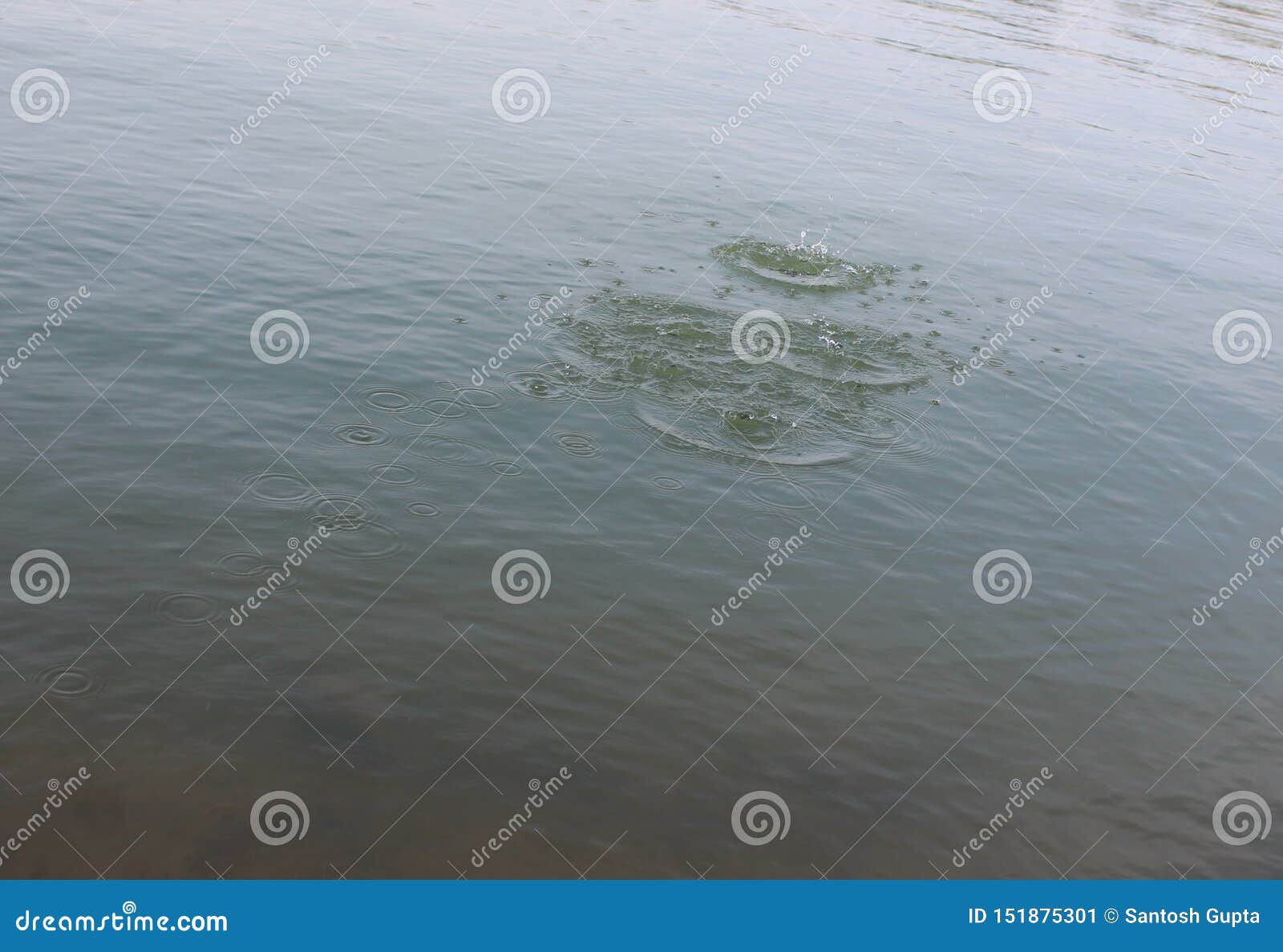 Water Splash in a Pond Water Stock Image - Image of splash, outdoor ...