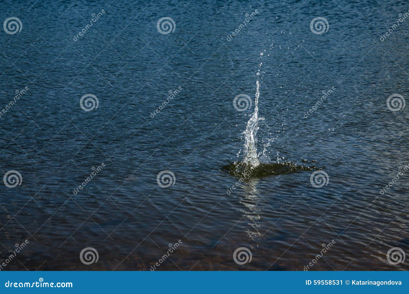 Water splash stock image. Image of fresh, nature, movement - 59558531