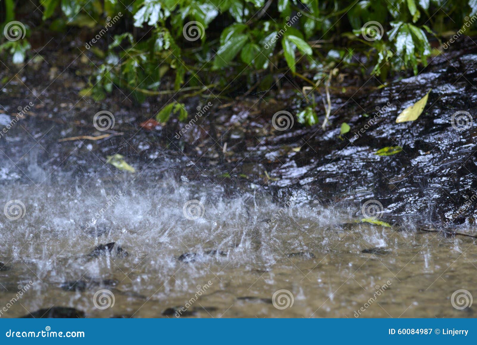 Water splash stock image. Image of cold, pattern, clear - 60084987