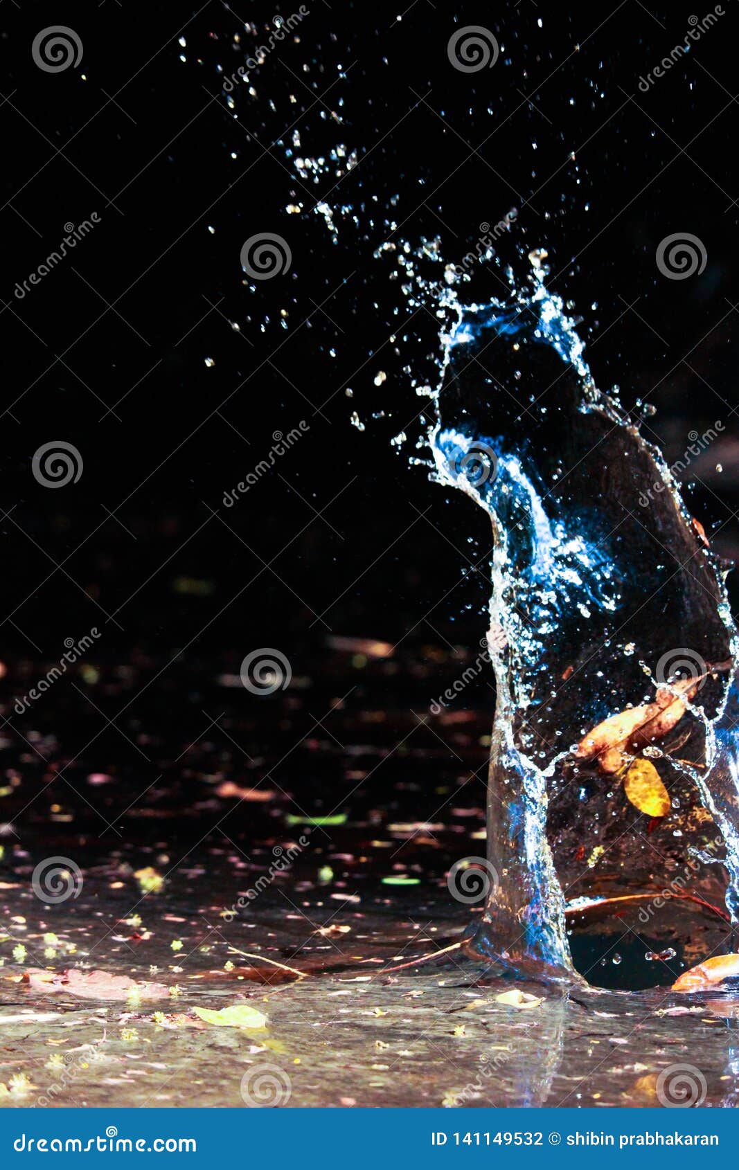 Water splash stock photo. Image of nature, river, water - 141149532