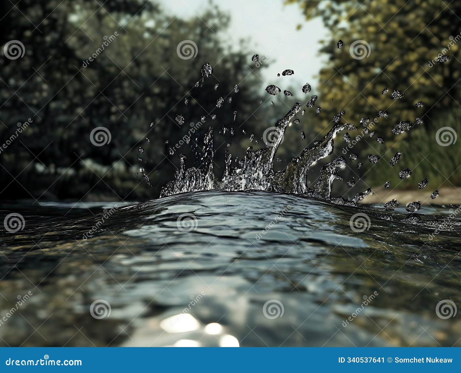 Water Splash from a Stream, Surrounded by Green Nature Stock ...