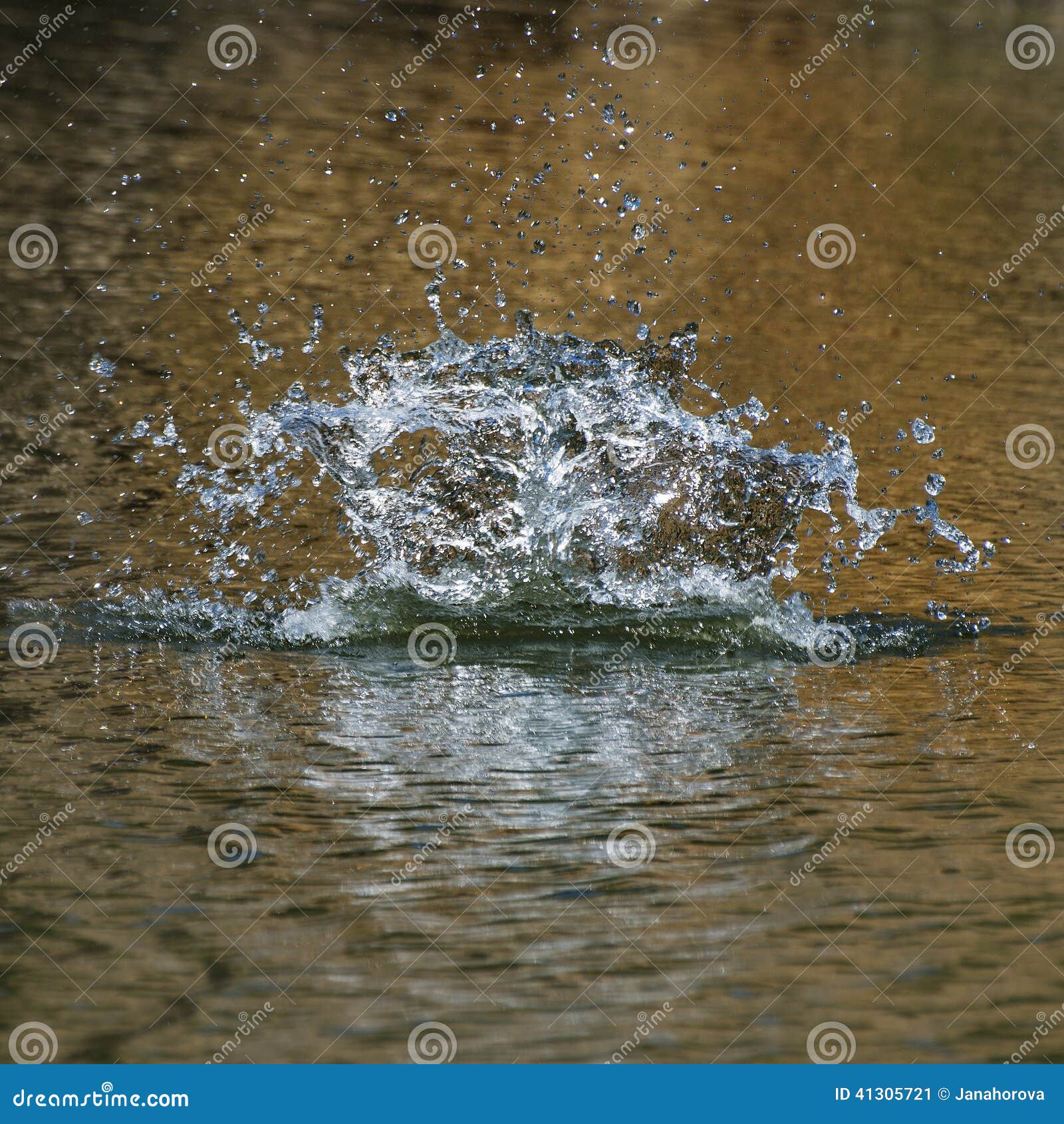 Water splash stock image. Image of water, fresh, holidays - 41305721
