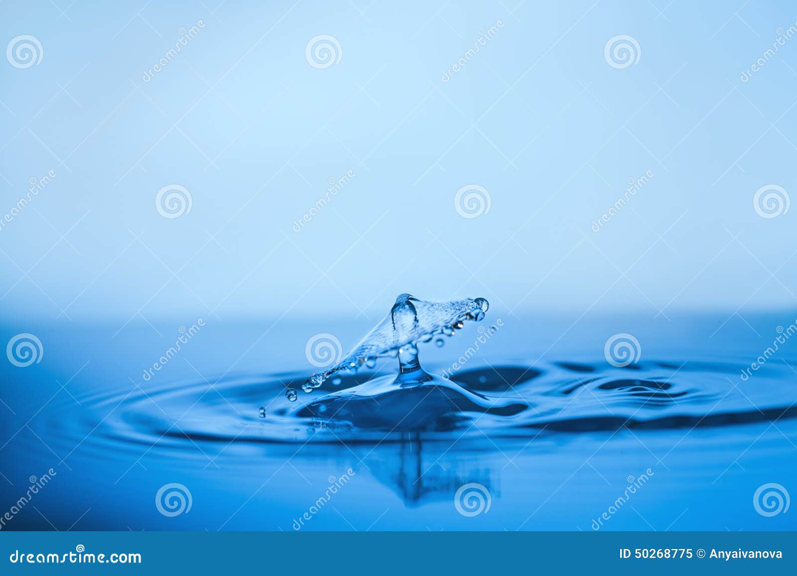 Water Splash on Surface, Text Space Stock Image - Image of mushroom ...