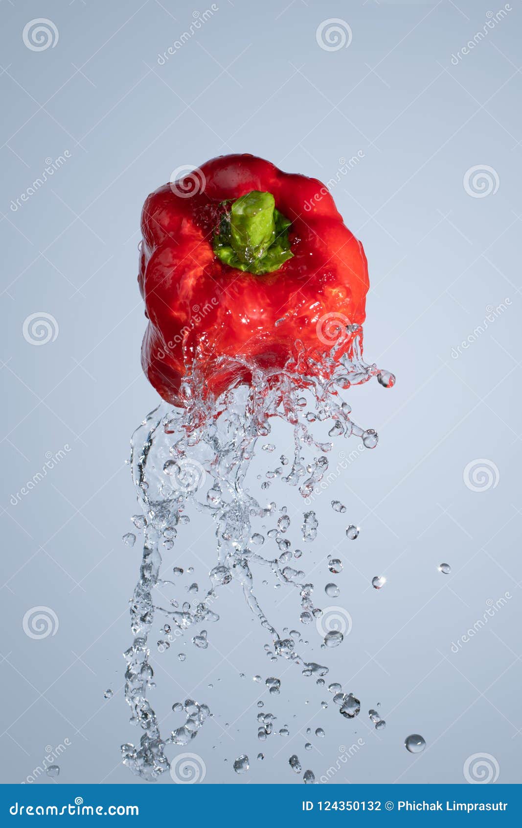 Water Splash Under the Red Bell Pepper Stock Photo - Image of capsicum ...