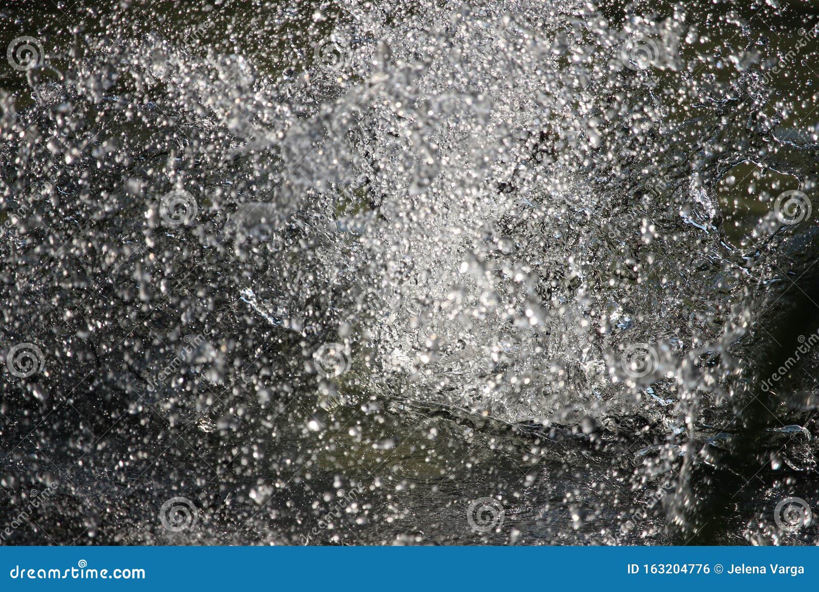 Water splash stock photo. Image of green, drop, summer - 163204776