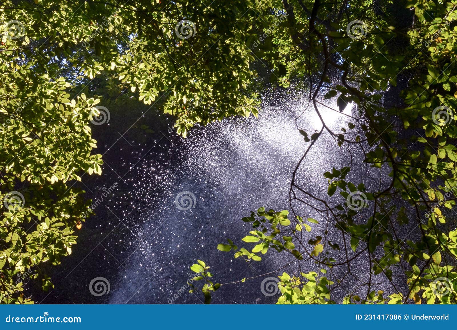 Water Splash Waterfall stock photo. Image of river, taburiente - 231417086
