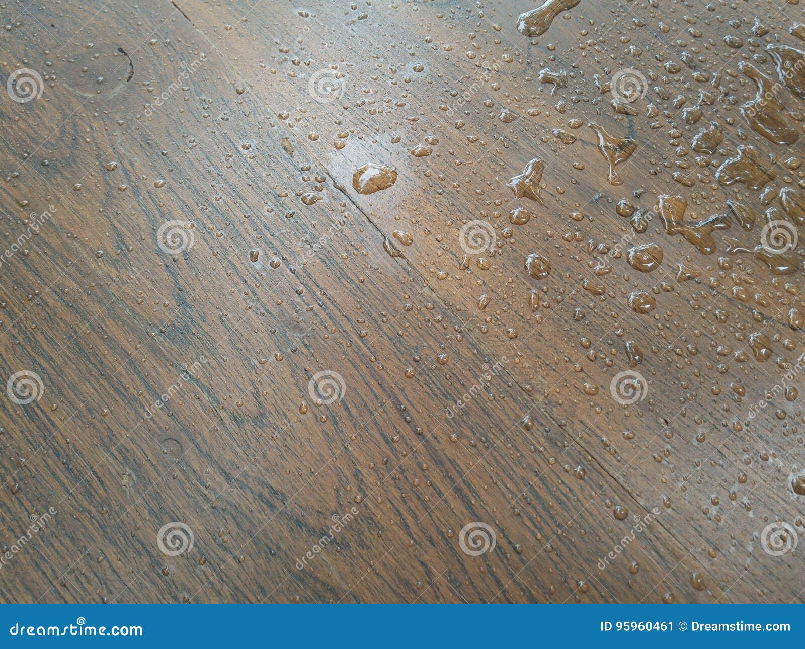 Water Splash on the Wooden Floor Stock Image - Image of hard, matt ...
