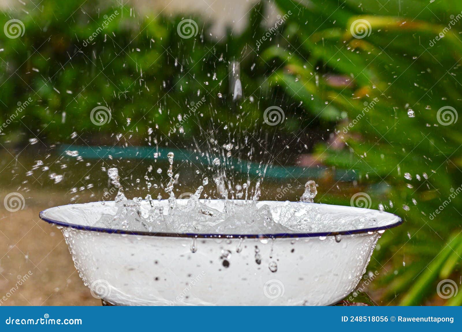 Water Splashed into the Basin Stock Photo - Image of nature, liquid ...