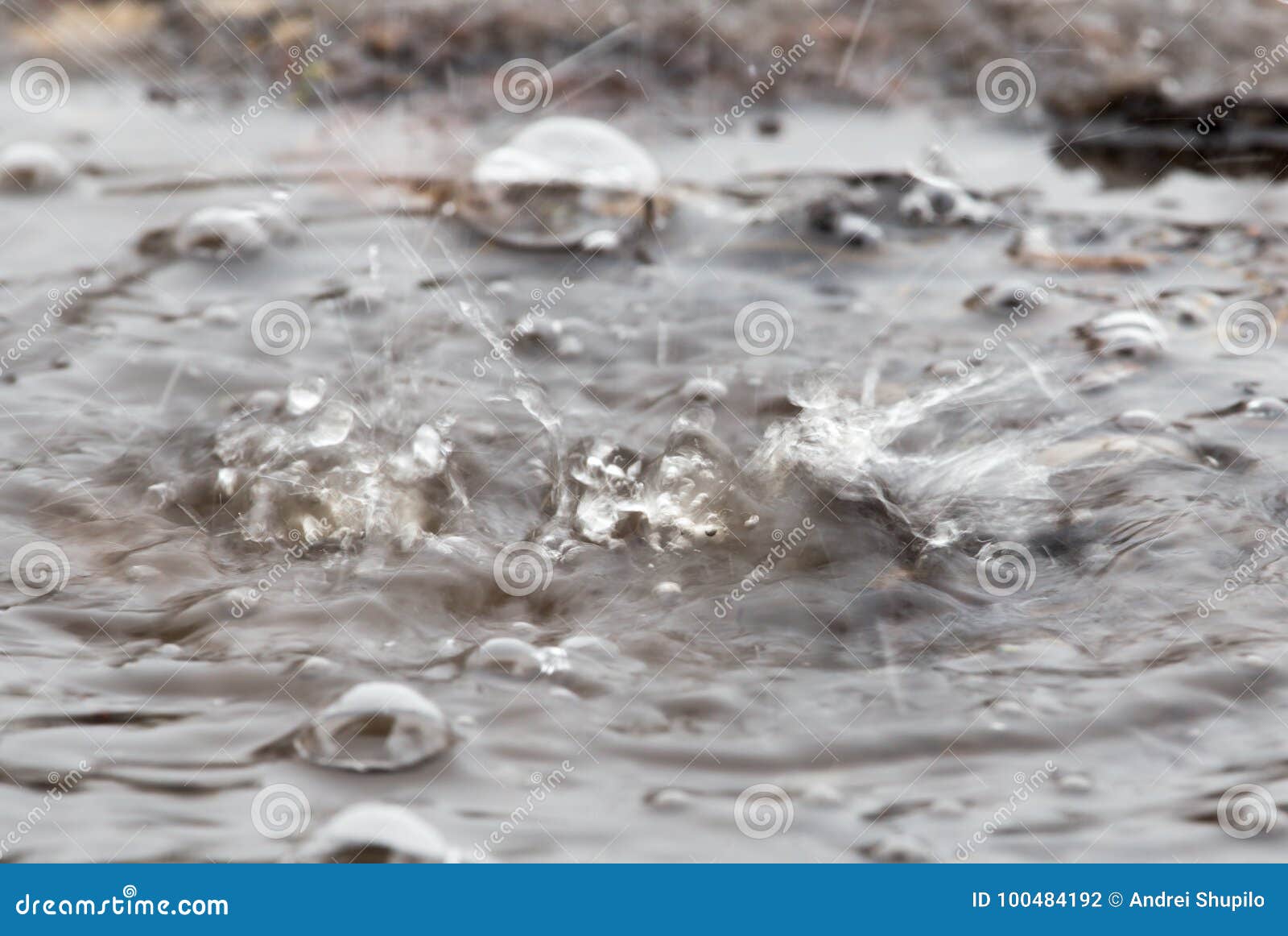 Water Splashes in a Puddle of Rain Stock Photo - Image of drop, circle ...