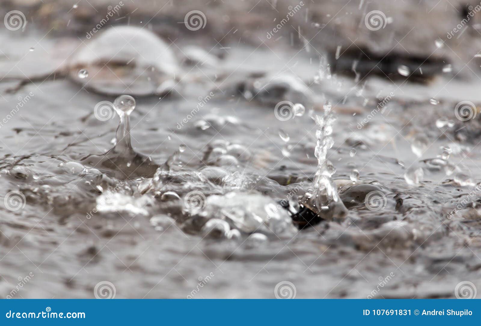 Water Splashes in a Puddle of Rain Stock Image - Image of surface ...
