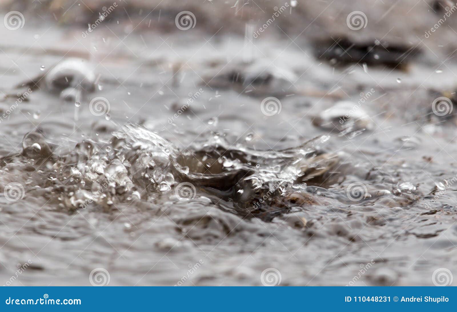 Water Splashes in a Puddle of Rain Stock Image - Image of splash, drop ...