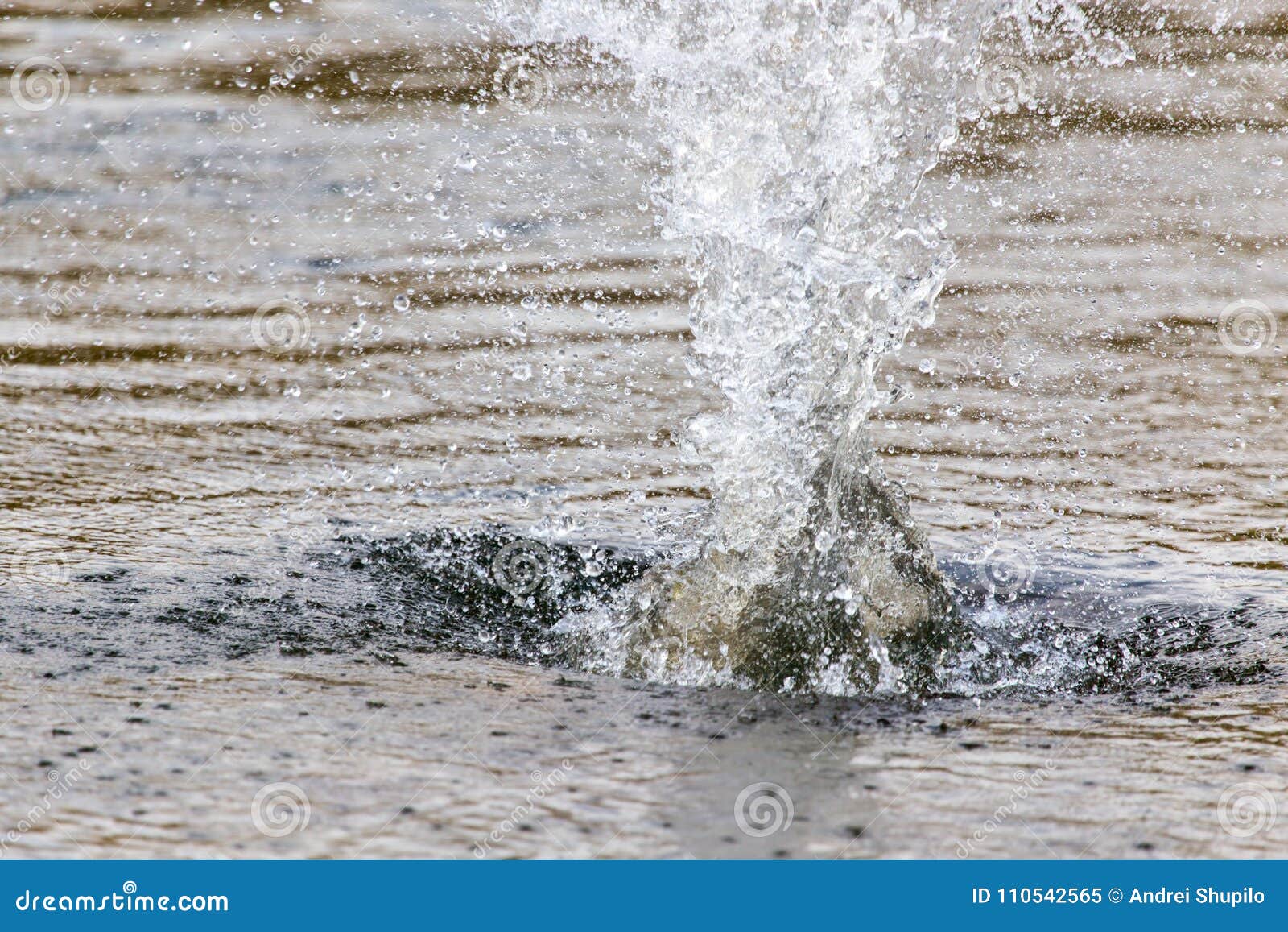 Water Splashing from a Stone in the River Stock Image - Image of ...