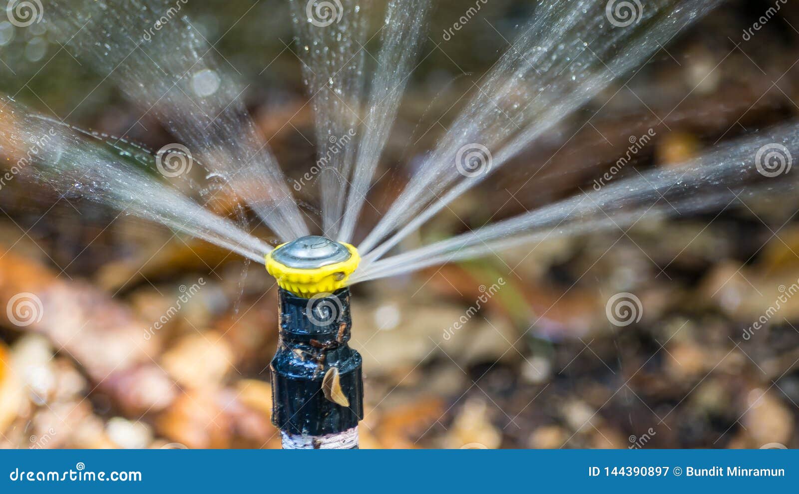 The Water Splashing Surround from the Head of Automatic Sprinkle ...