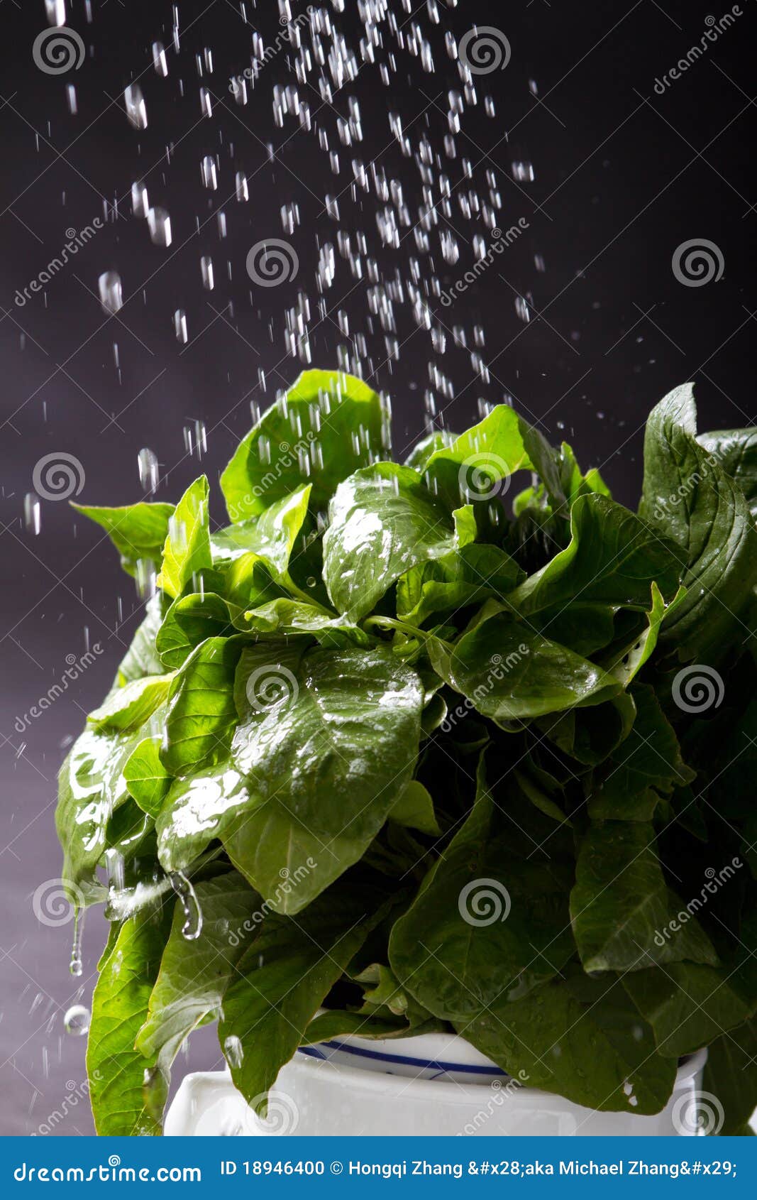 Water splashing vegetable stock photo. Image of still - 18946400
