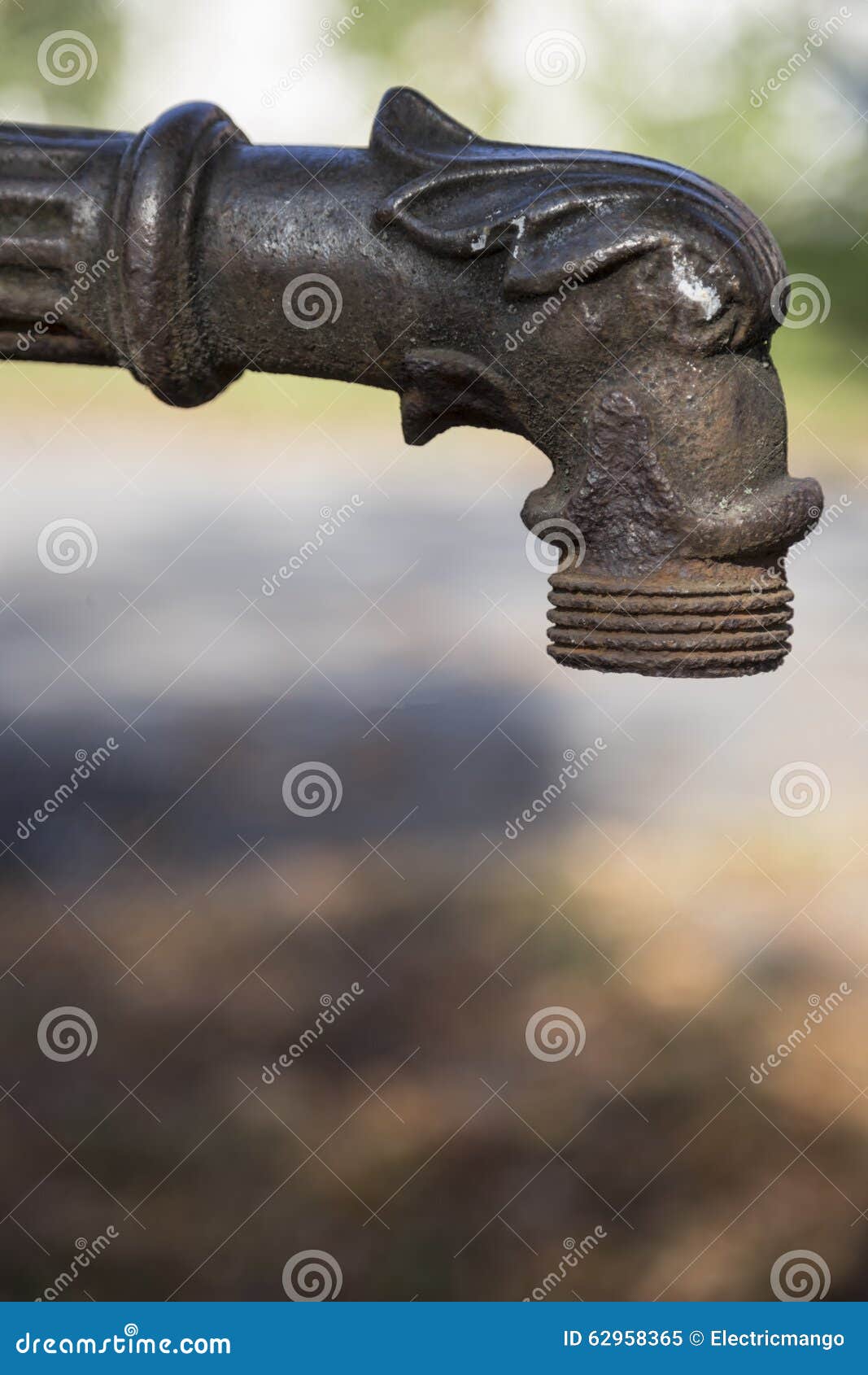 Water spouter stock image. Image of waterspout, chestnuts - 62958365