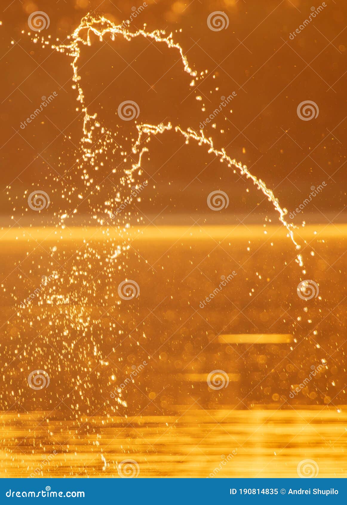 Water Spray at Sunset in Summer Stock Image - Image of summer, nature ...